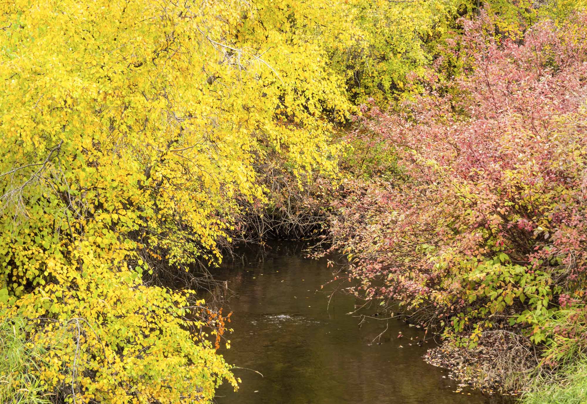 Cowiche Canyon Preserve — Washington Trails Association
