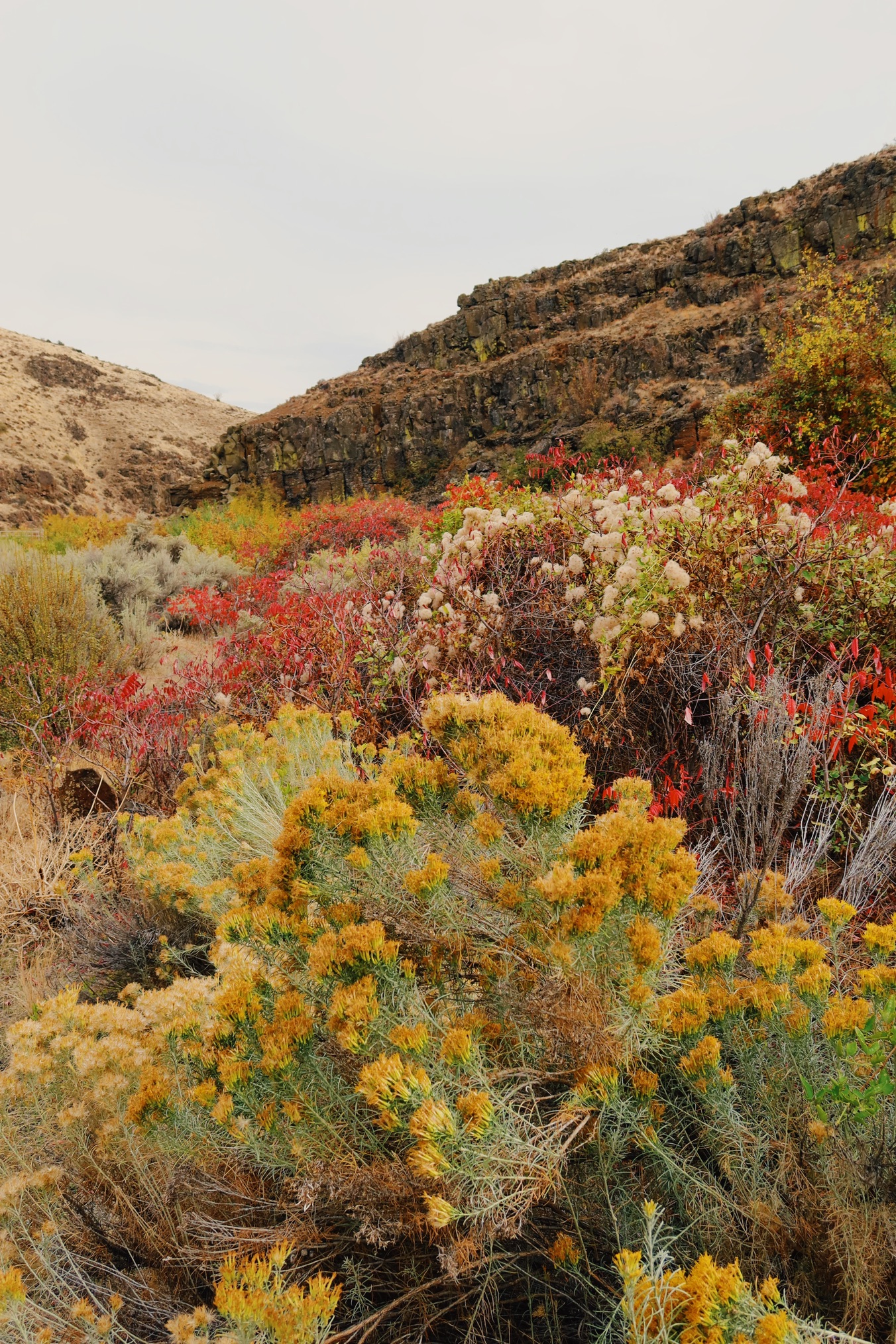Cowiche Canyon Preserve — Washington Trails Association