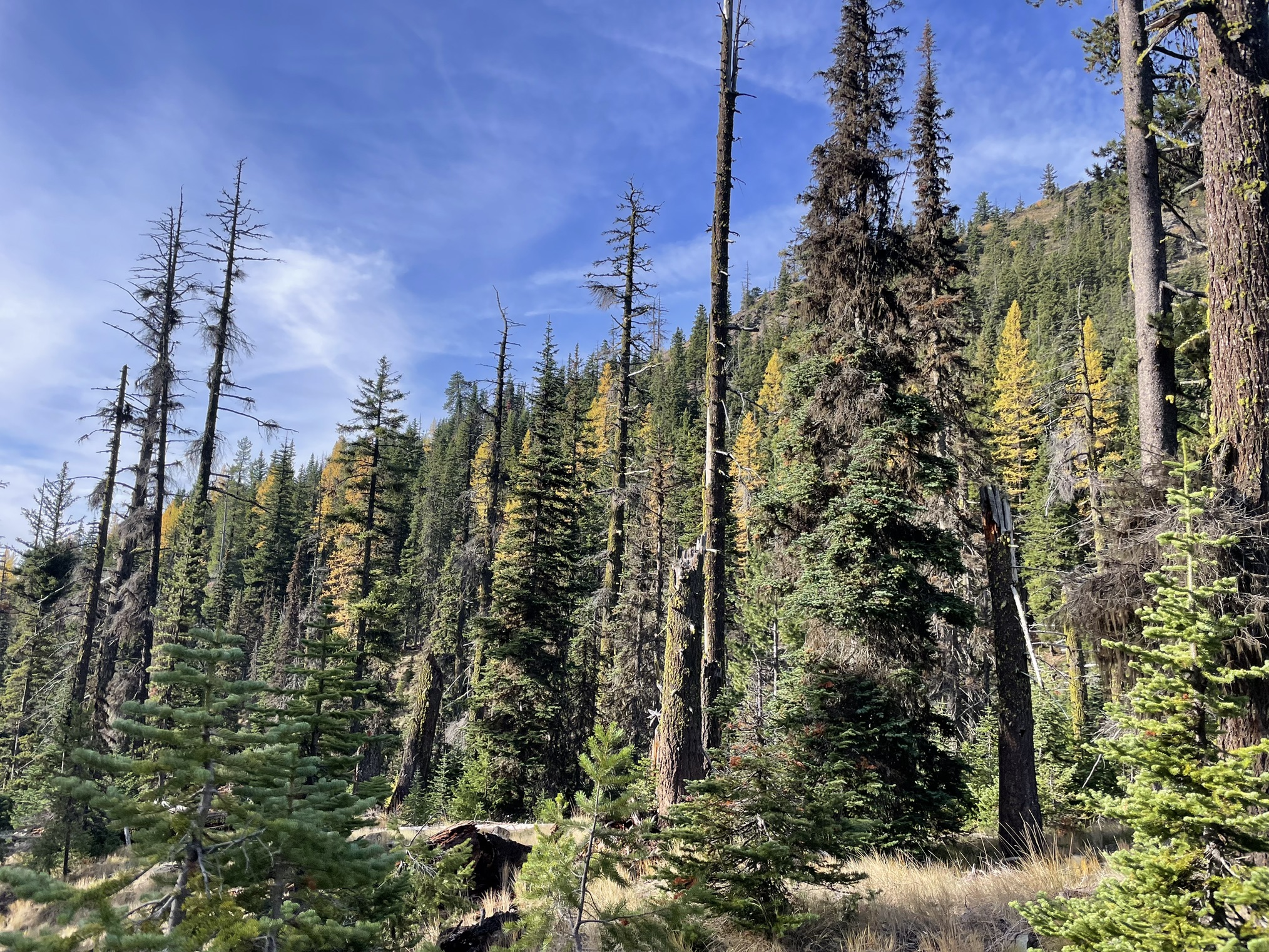 Navaho Pass — Washington Trails Association