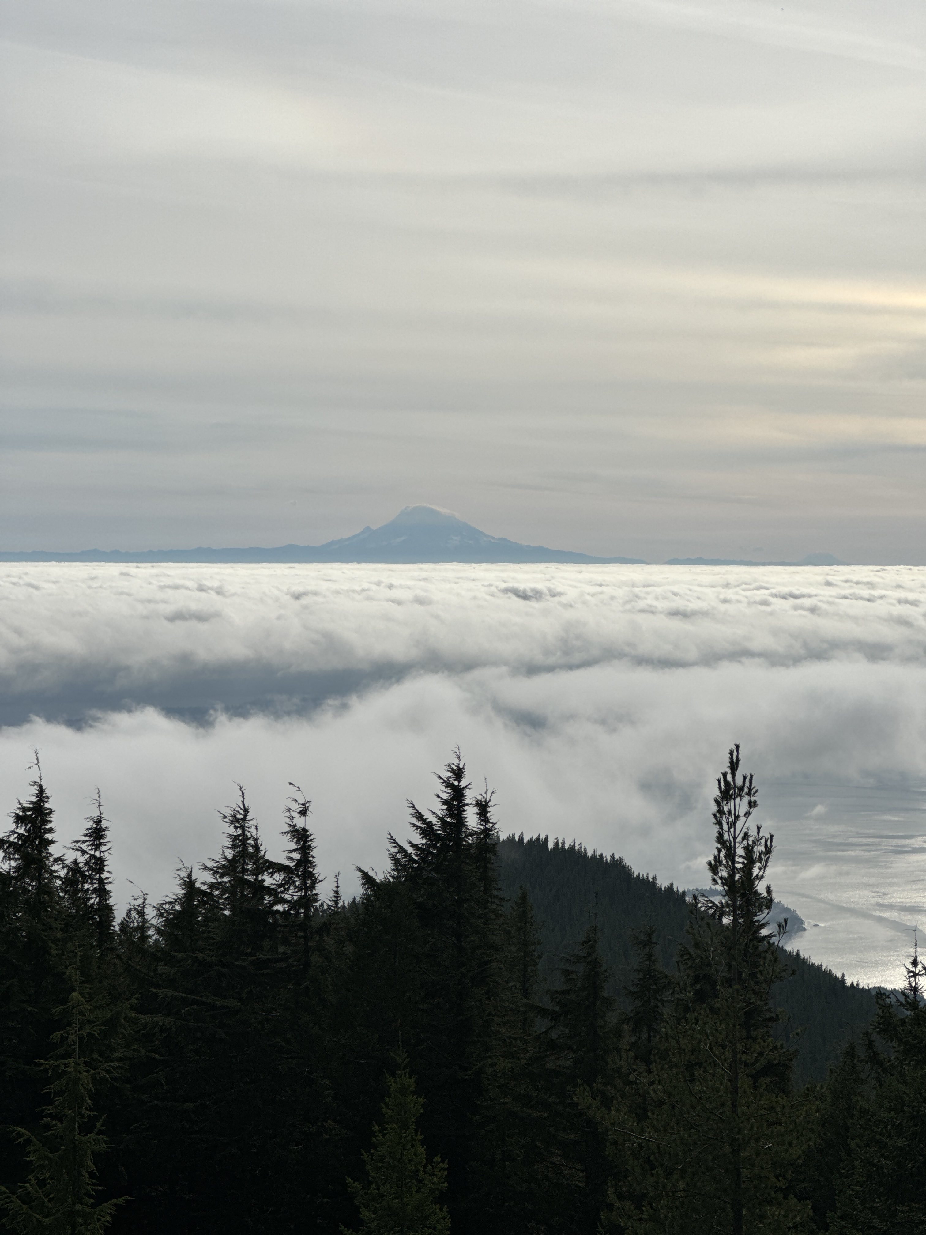 Mount Walker — Washington Trails Association