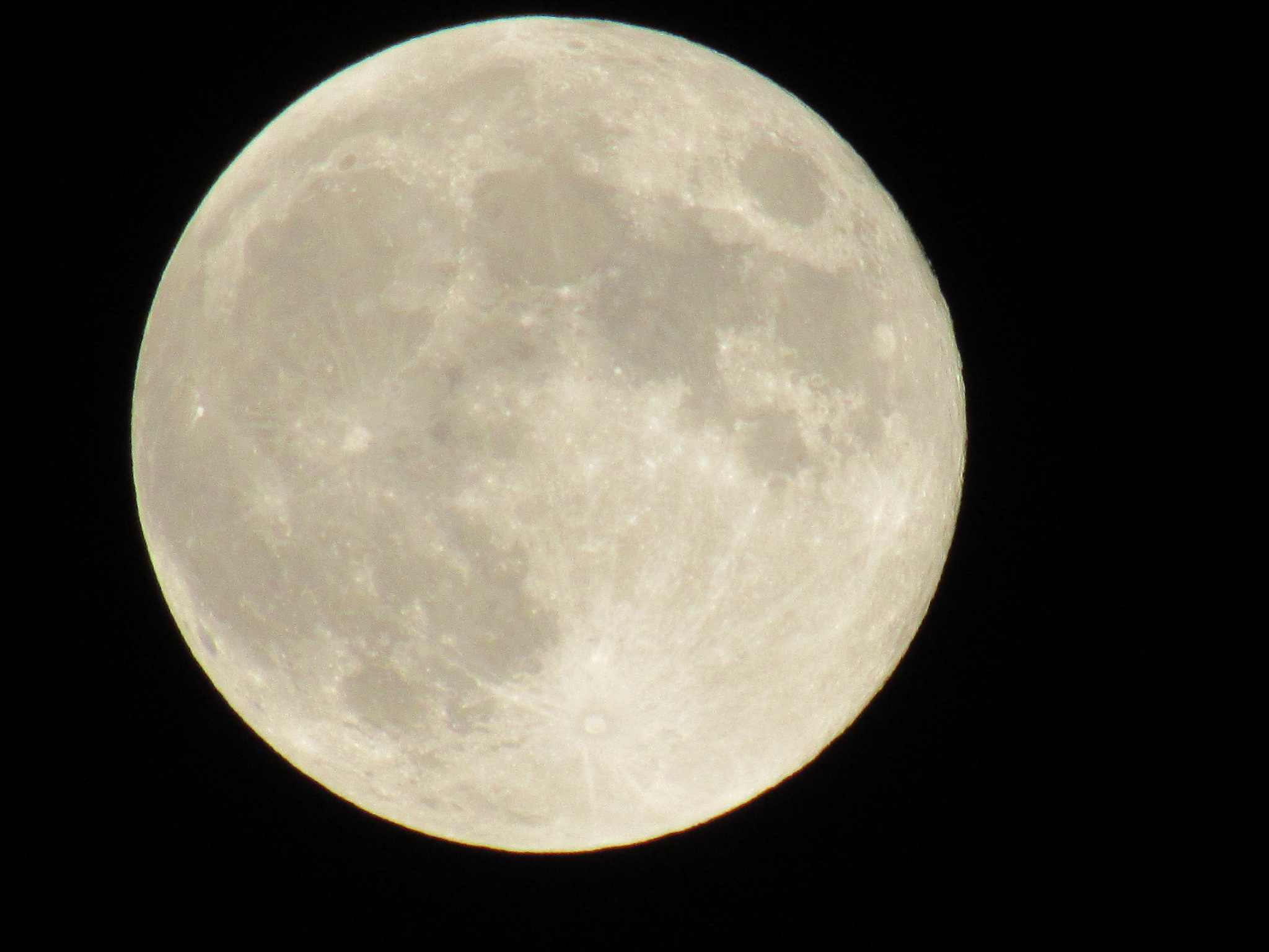 Wiley Slough - Fir Island, Leque Island - Stanwood Levee Trail ...