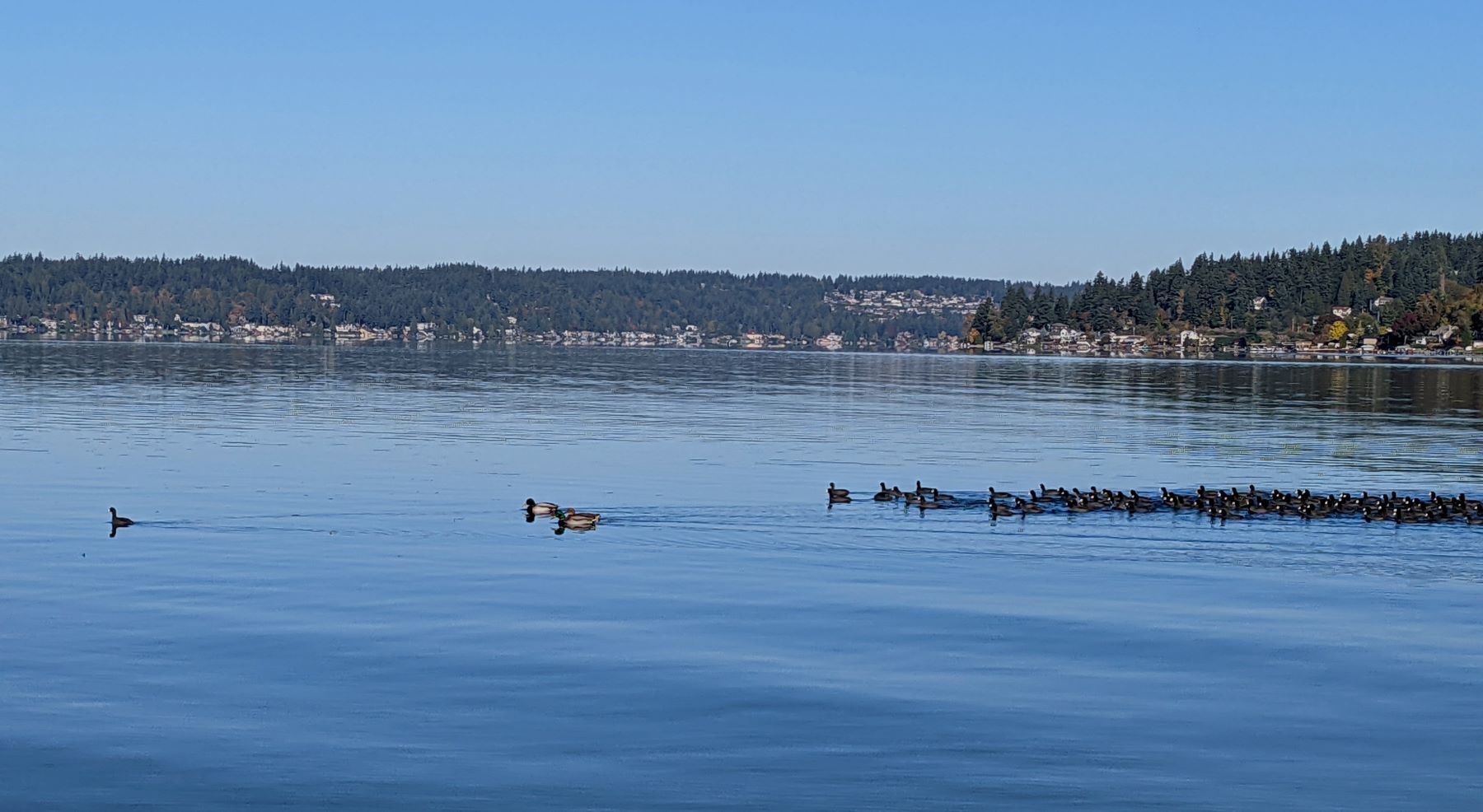 Lake Sammamish State Park — Washington Trails Association