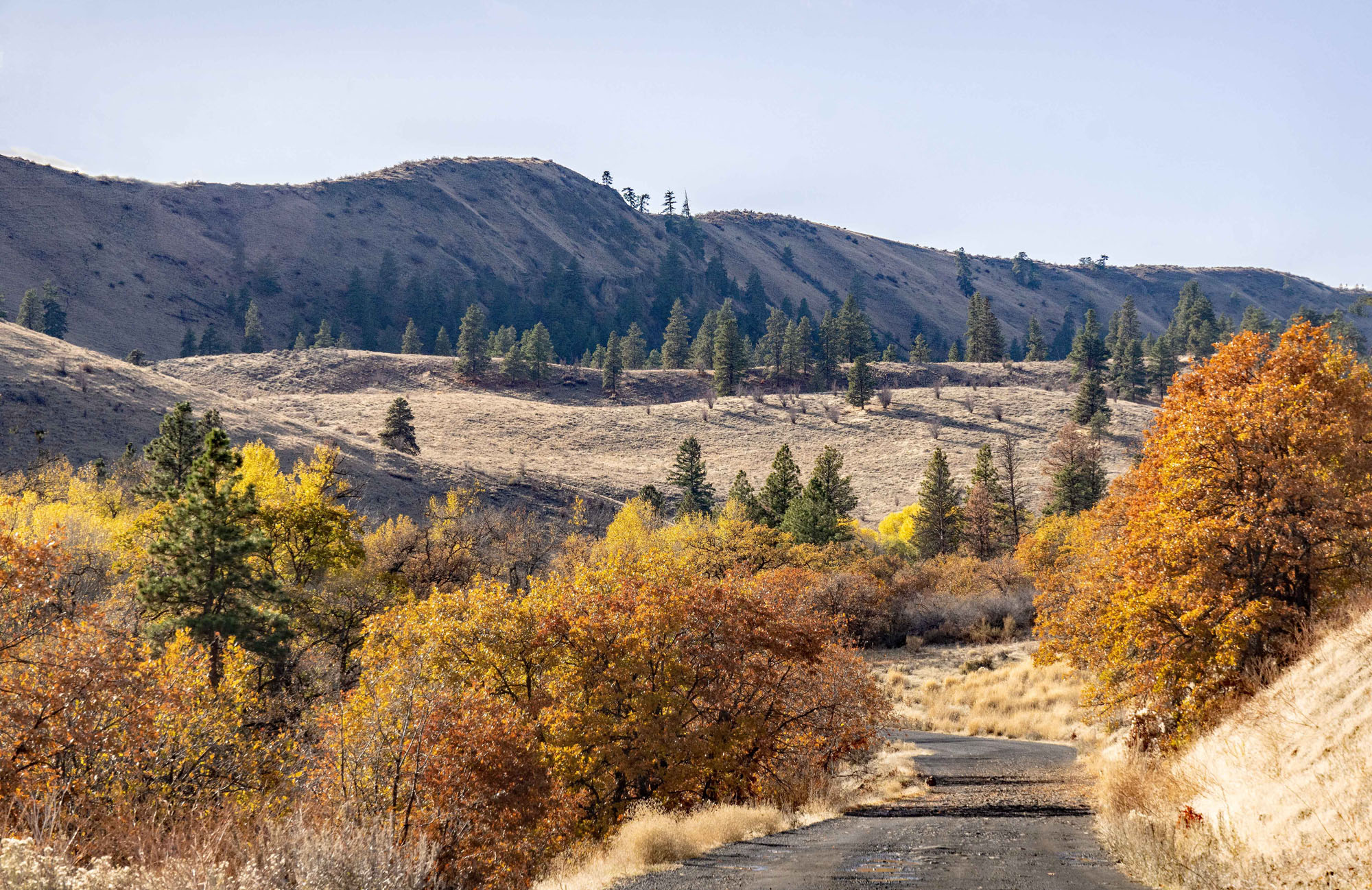 Oak Creek Road - Bethel Ridge — Washington Trails Association