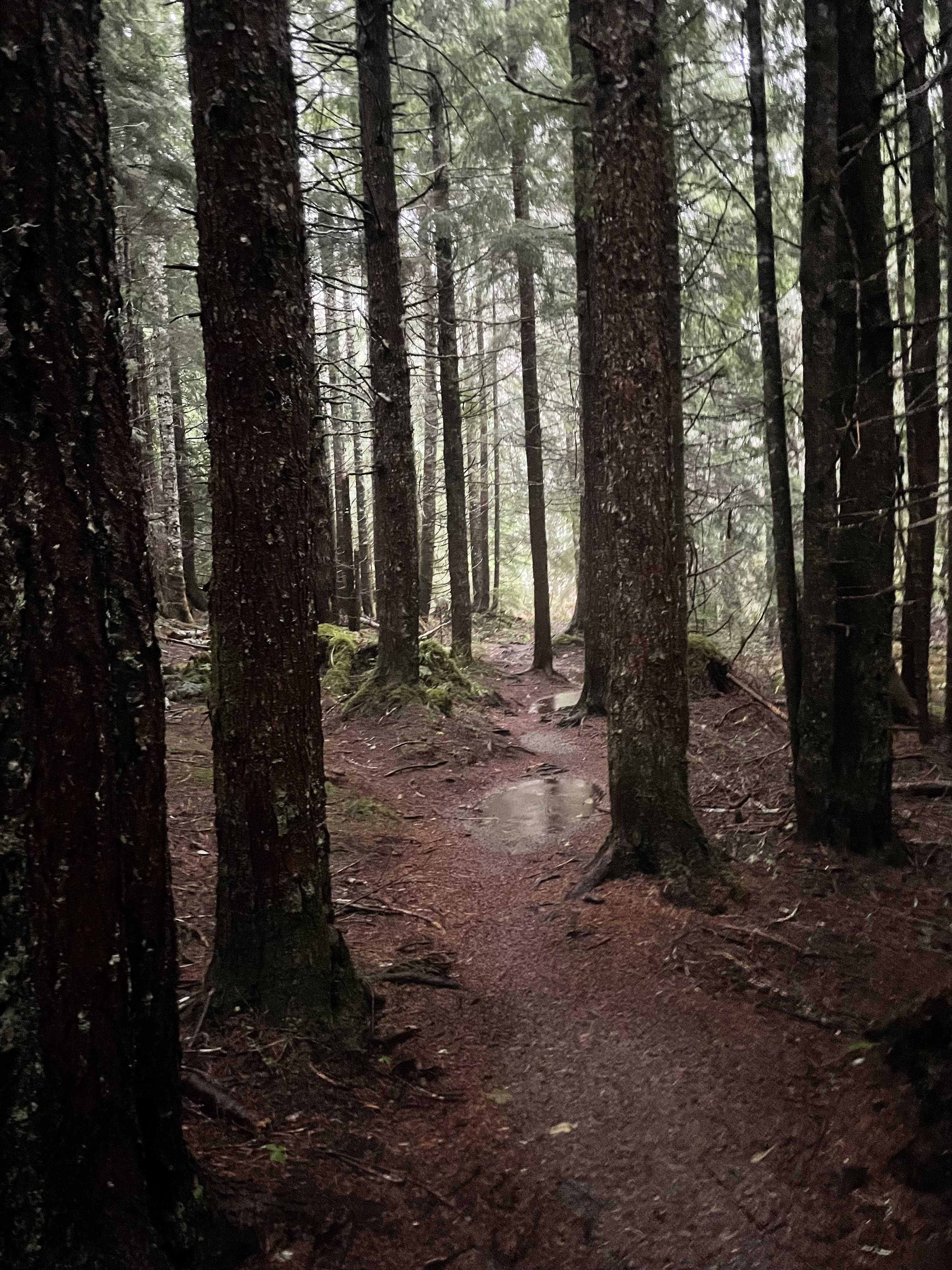 Goat Lake — Washington Trails Association