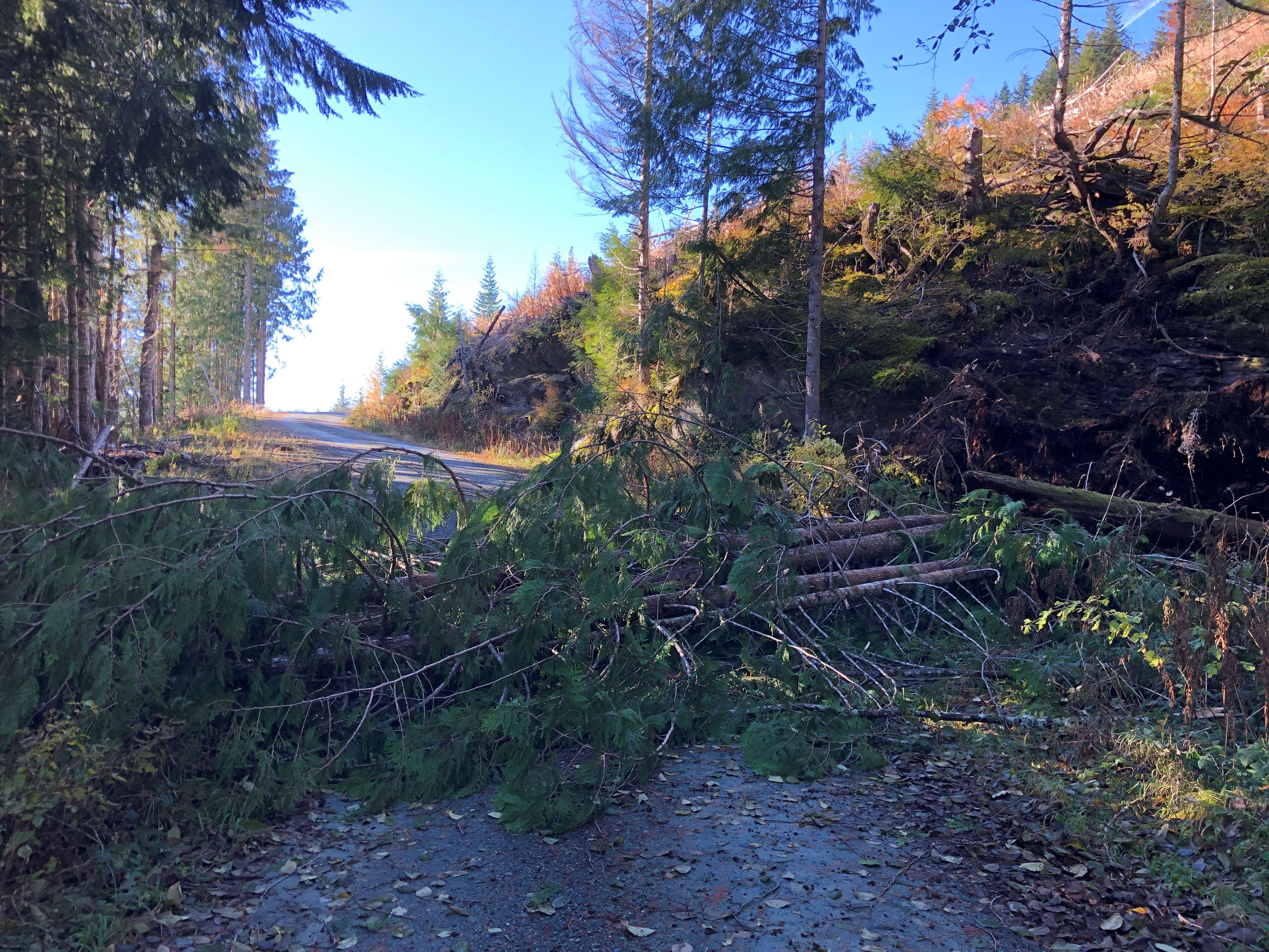 Gee Point — Washington Trails Association