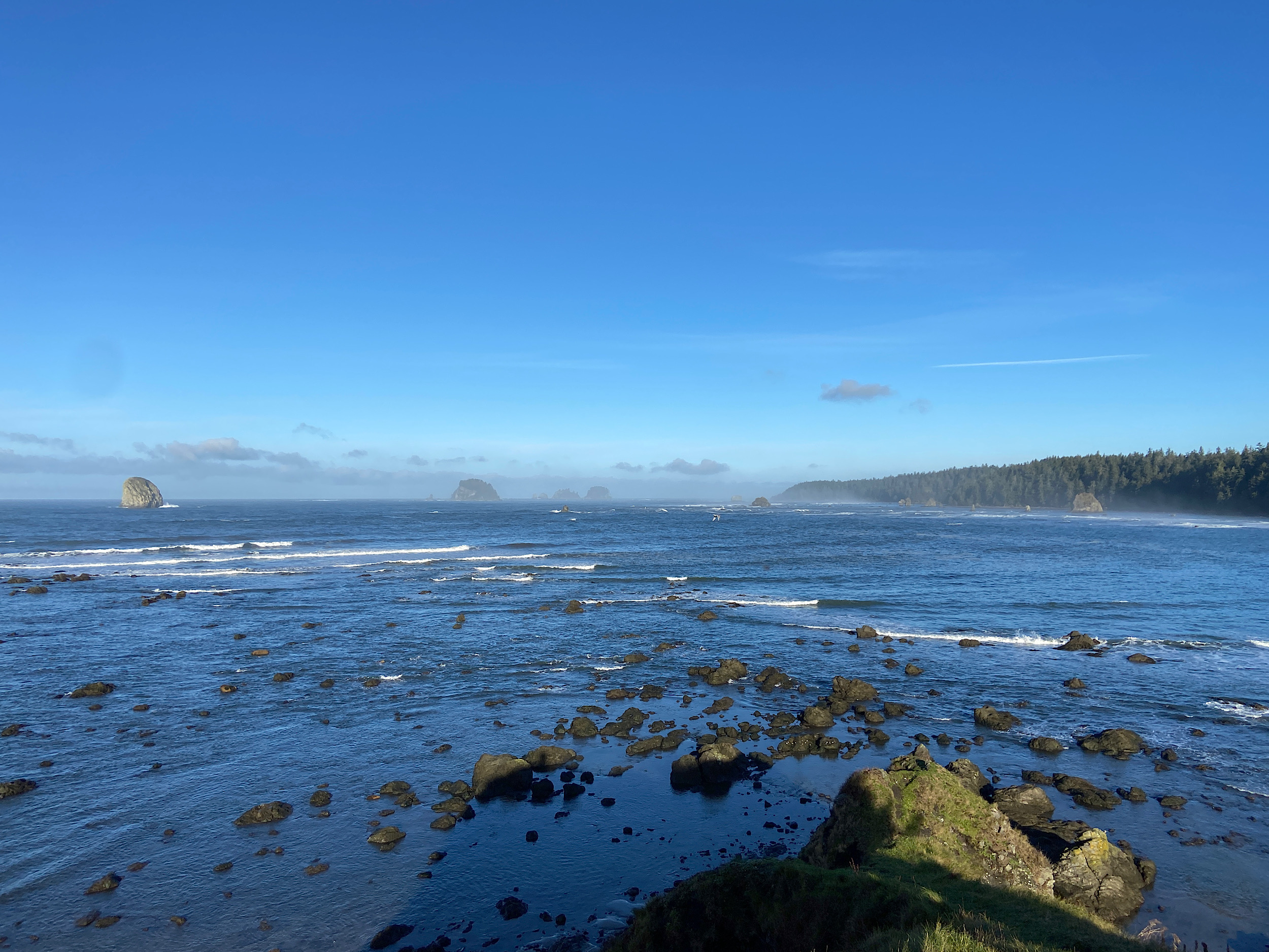 Cape Alava Loop (Ozette Triangle), Sand Point — Washington Trails ...