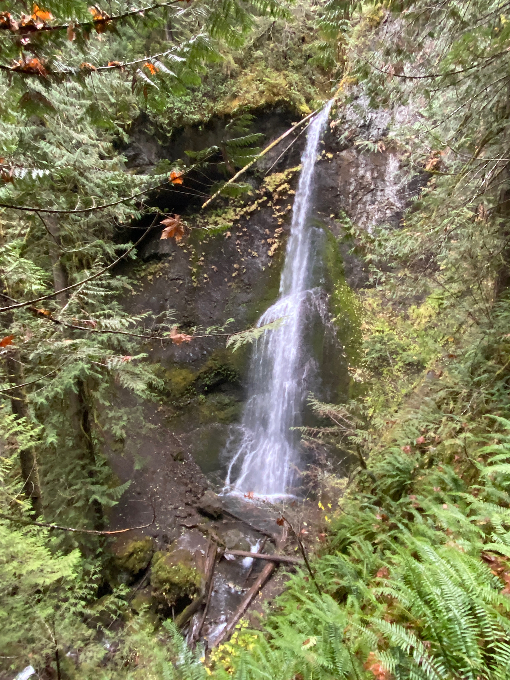 Marymere Falls — Washington Trails Association