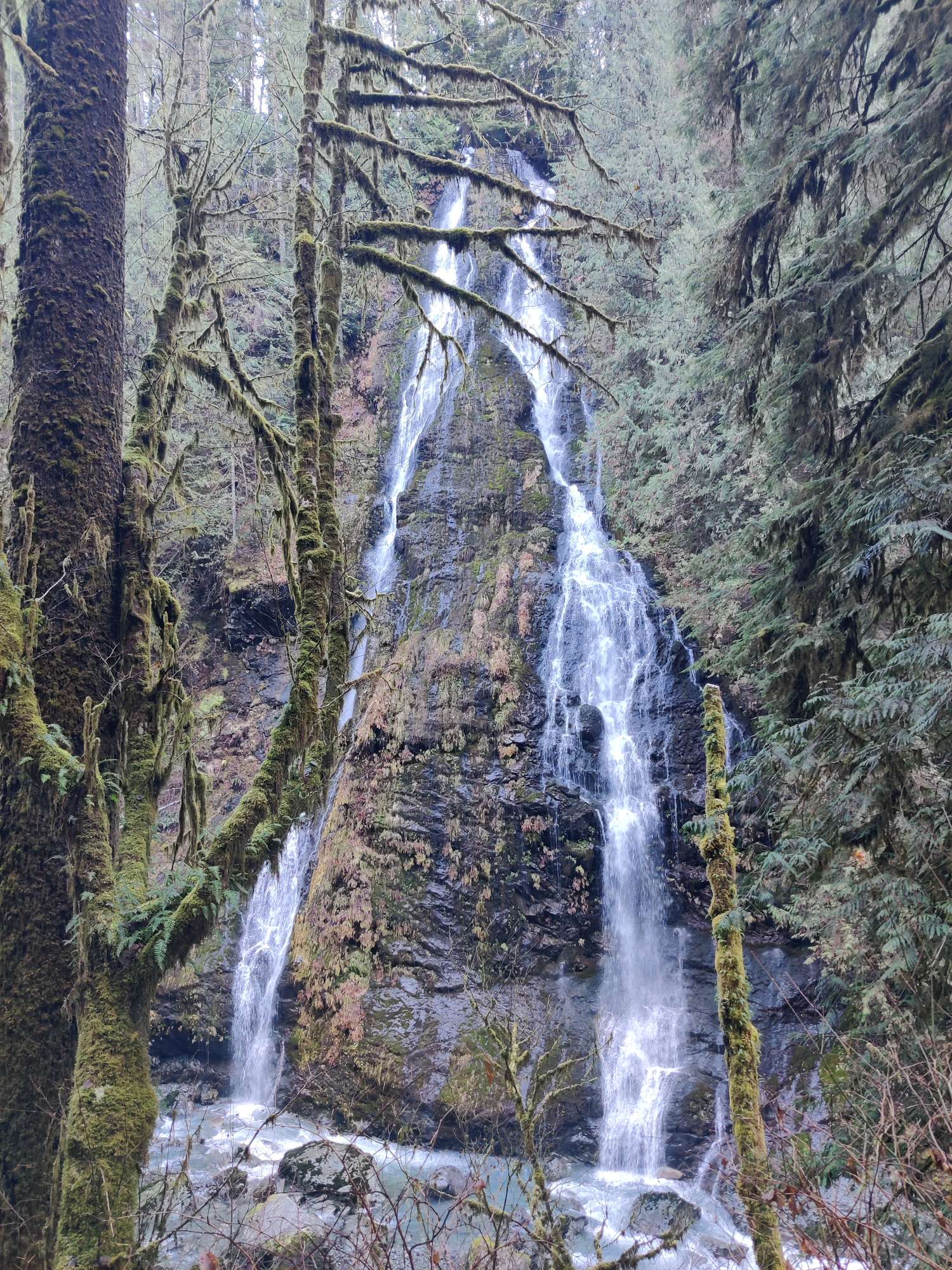 Boulder River — Washington Trails Association
