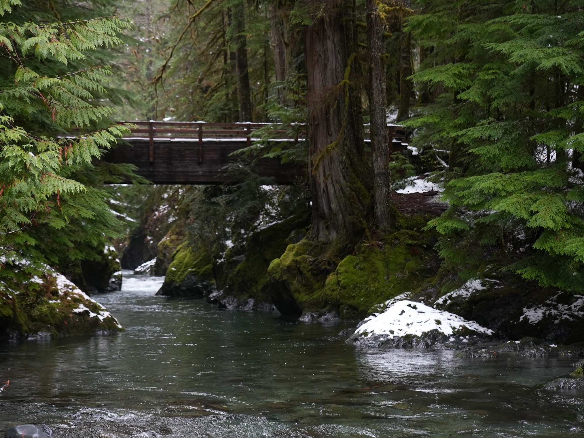 Staircase Rapids, Flapjack Lakes via North Fork Skokomish River, North ...