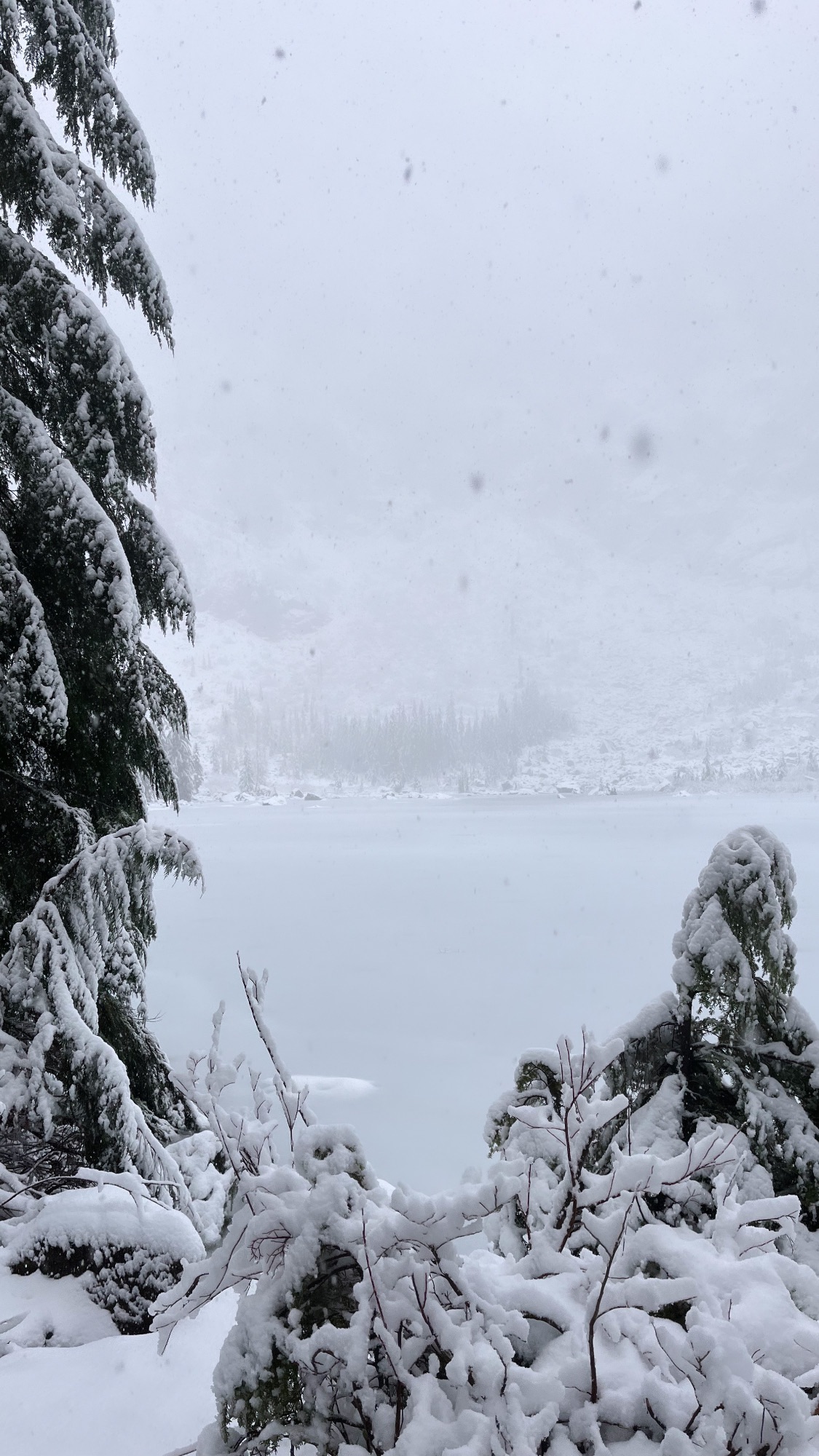 Heather Lake — Washington Trails Association