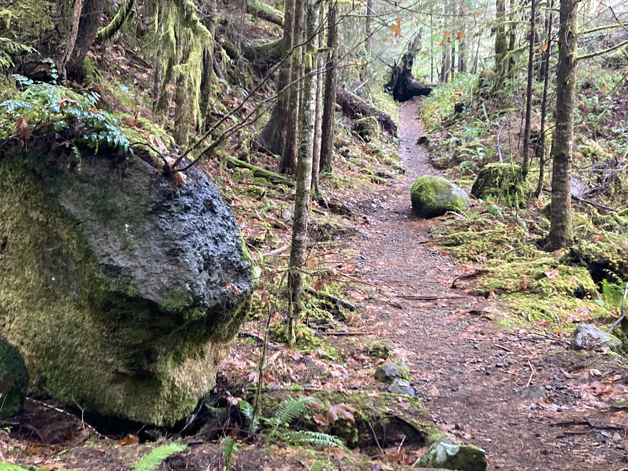 Ranger Hole - Interrorem Nature Trail — Washington Trails Association