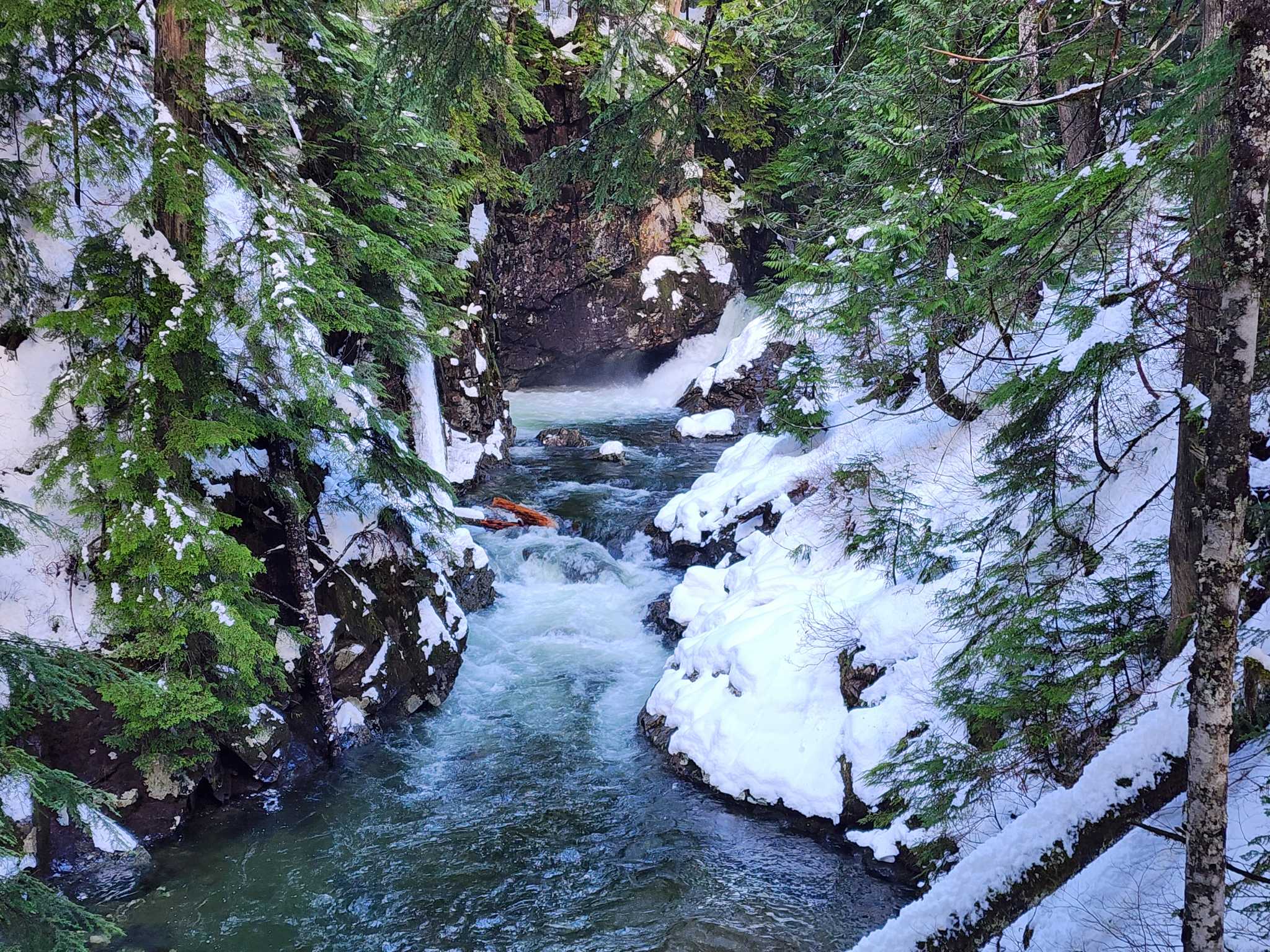 Franklin Falls — Washington Trails Association
