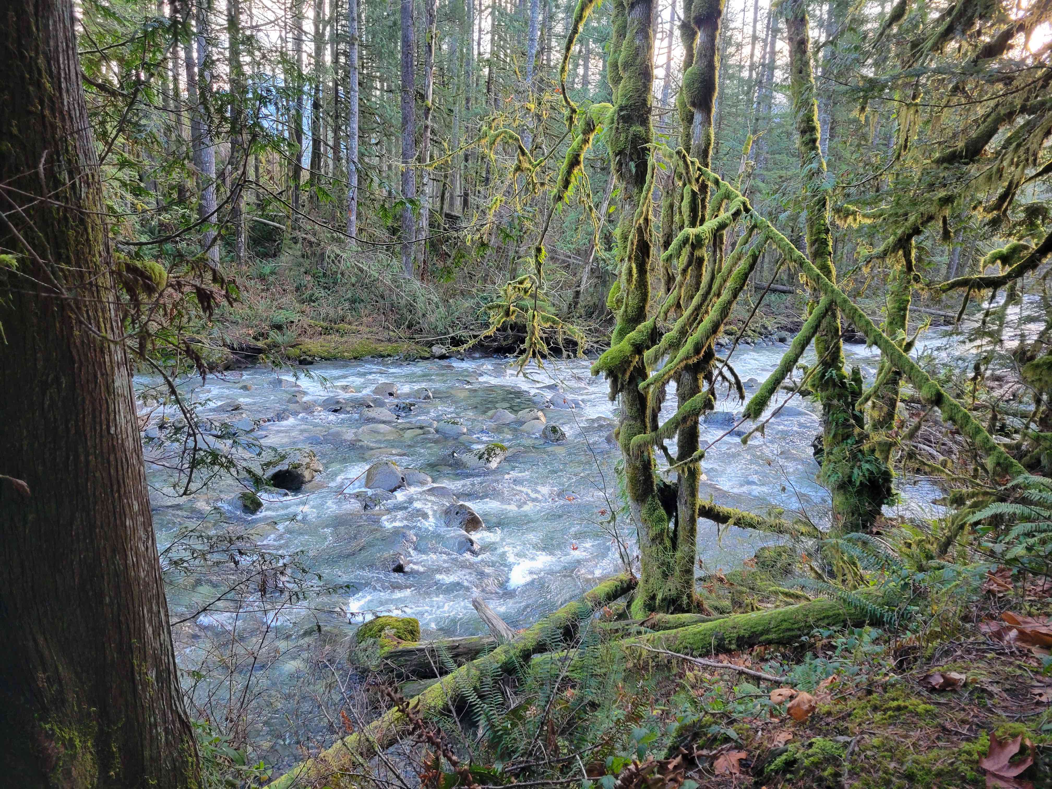 Wallace Falls - Lake Loop — Washington Trails Association