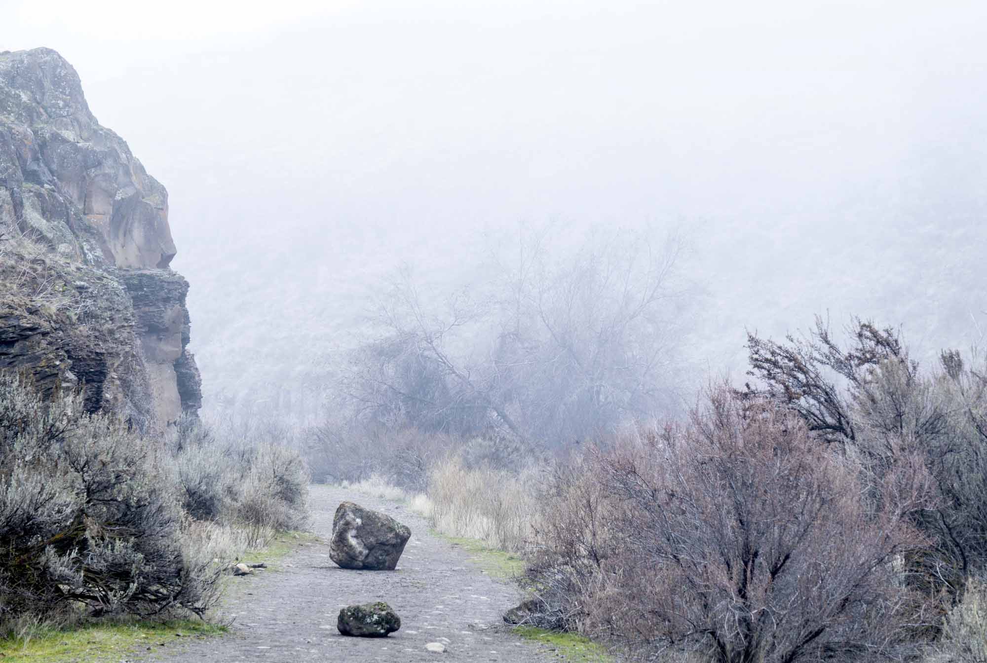 Cowiche Canyon Preserve, Rocky Top and Cowiche Mountain — Washington ...