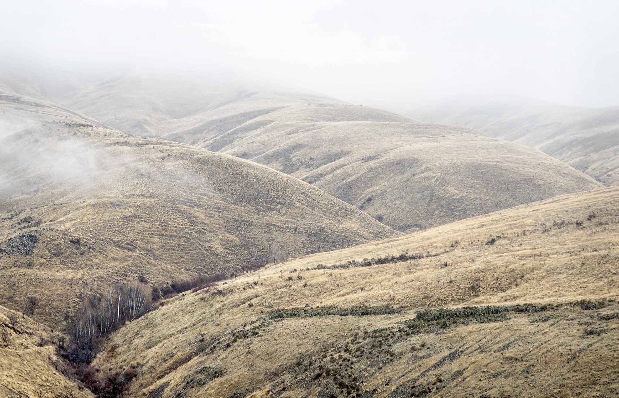 Umtanum Ridge Crest — Washington Trails Association