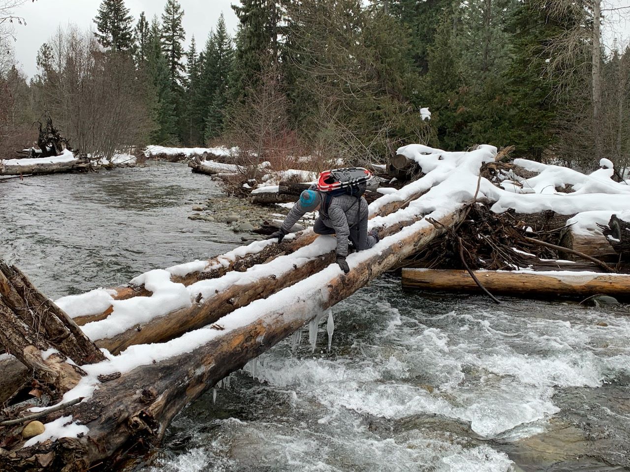Teanaway Community Forest — Washington Trails Association