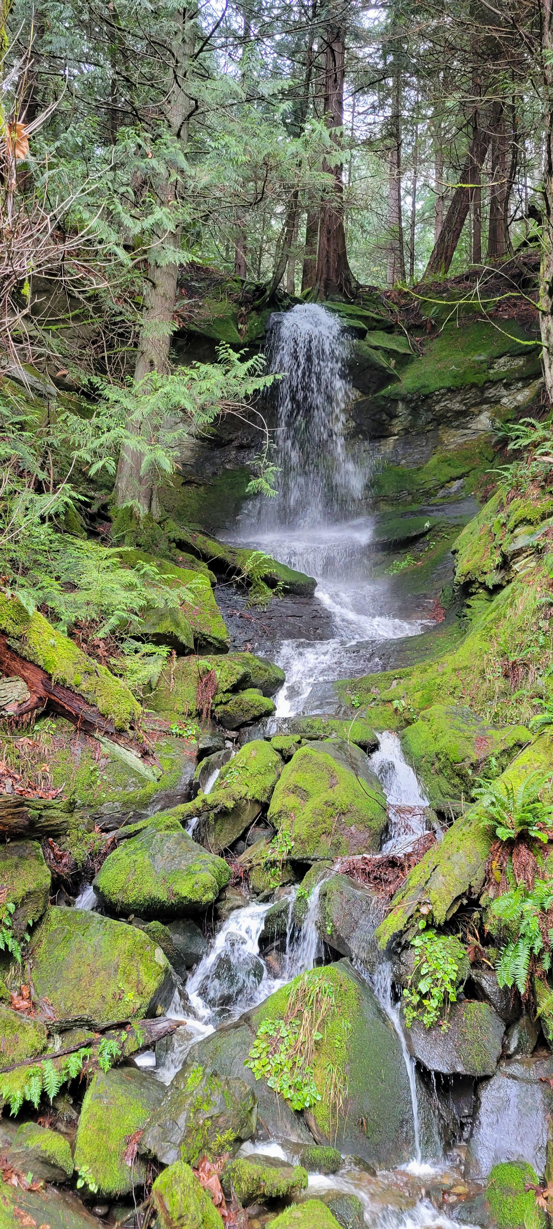 Larrabee State Park - Chuckanut Ridge Trail — Washington Trails Association