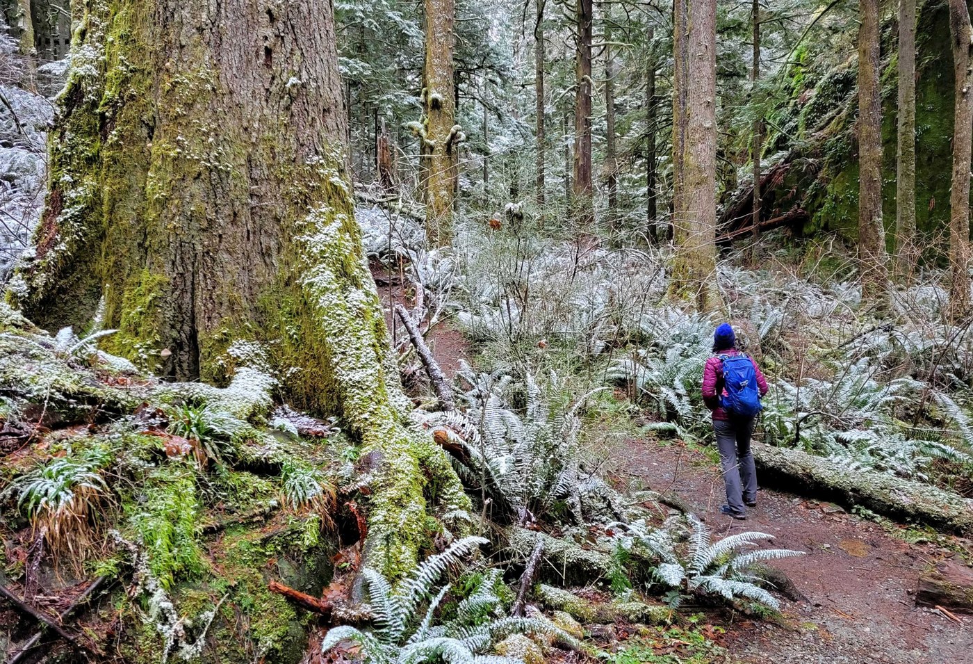 Little Si, Boulder Garden Loop — Washington Trails Association