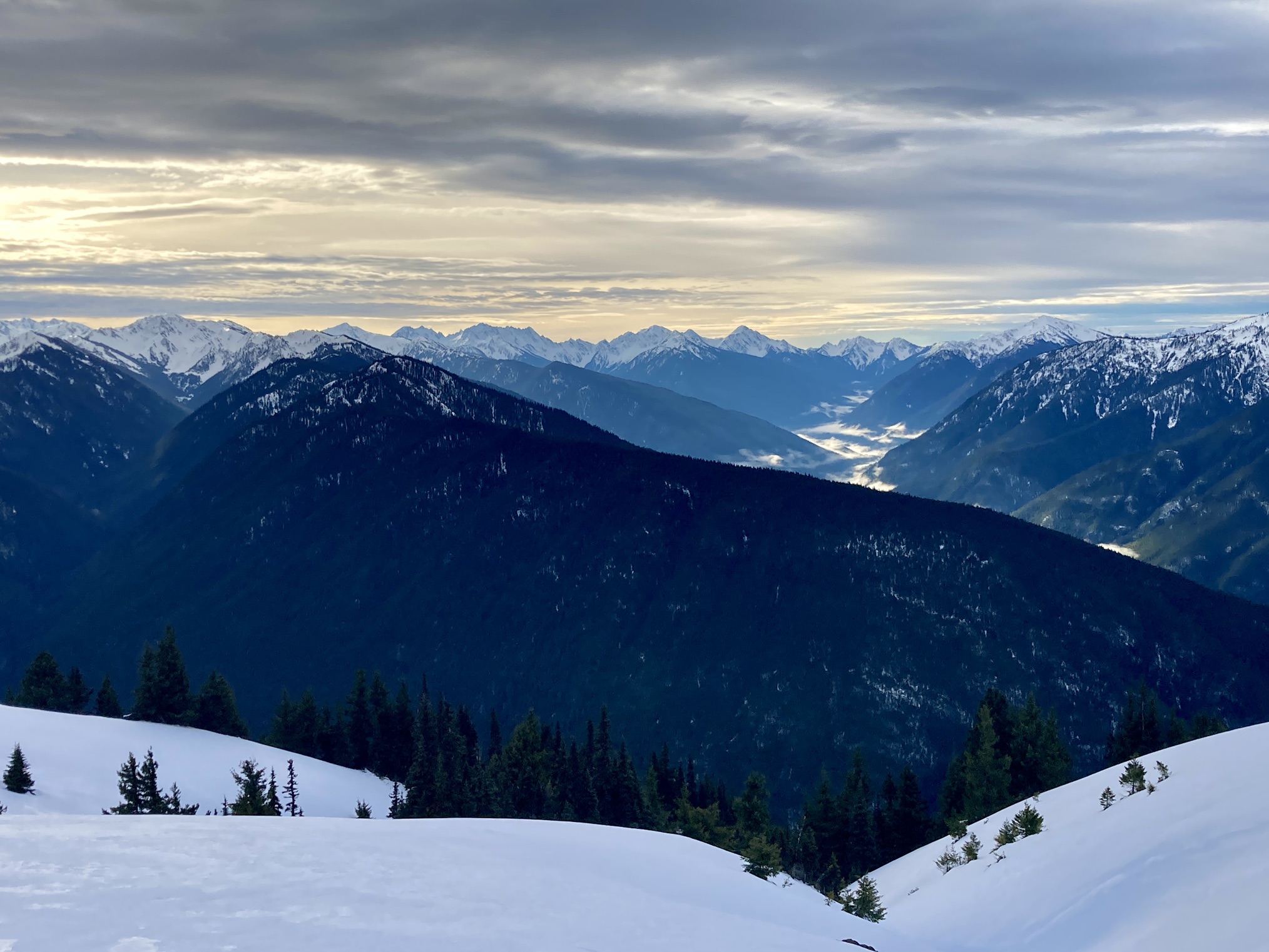 Hurricane Ridge Snowshoe — Washington Trails Association