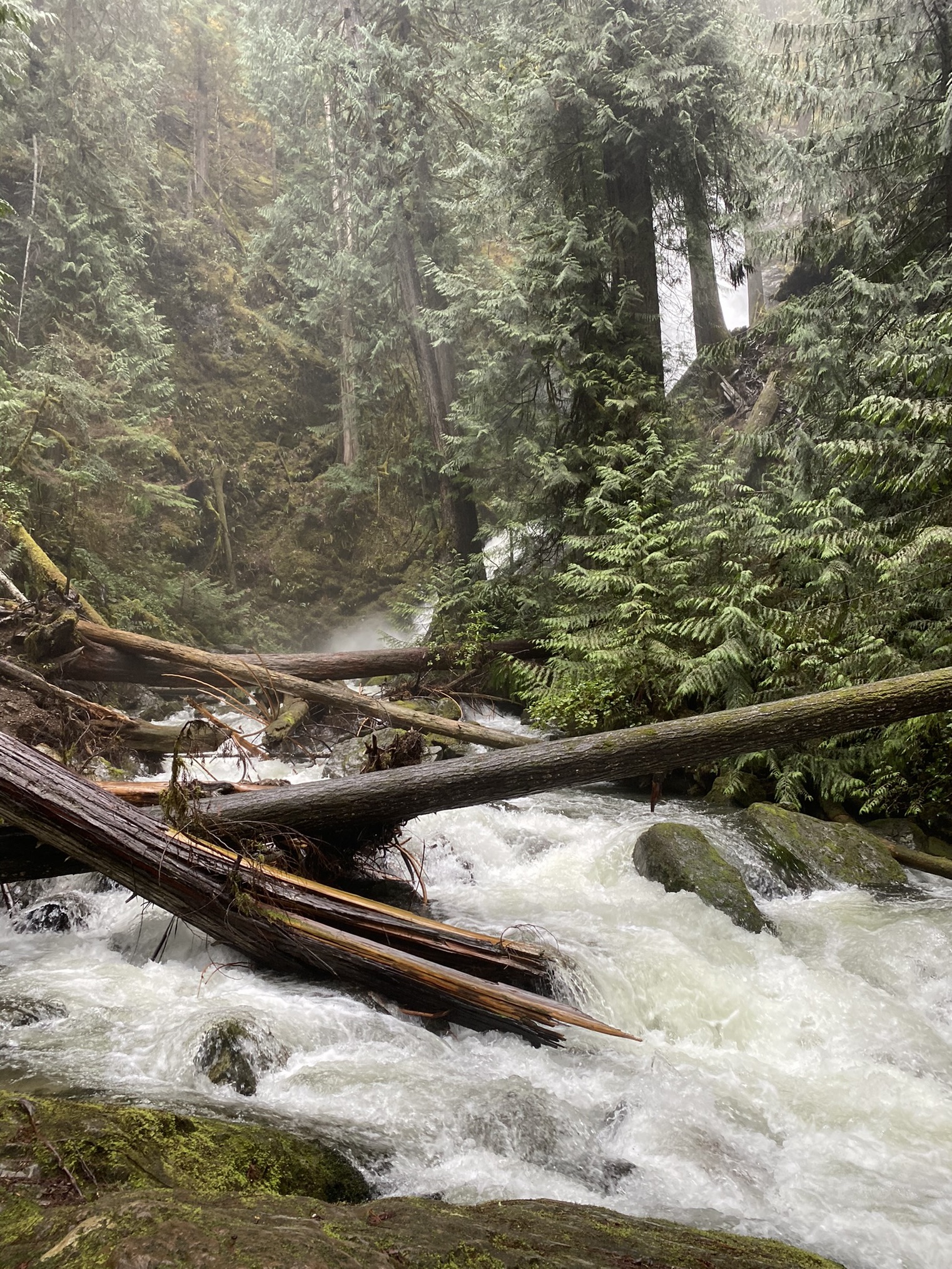 Murhut Falls — Washington Trails Association