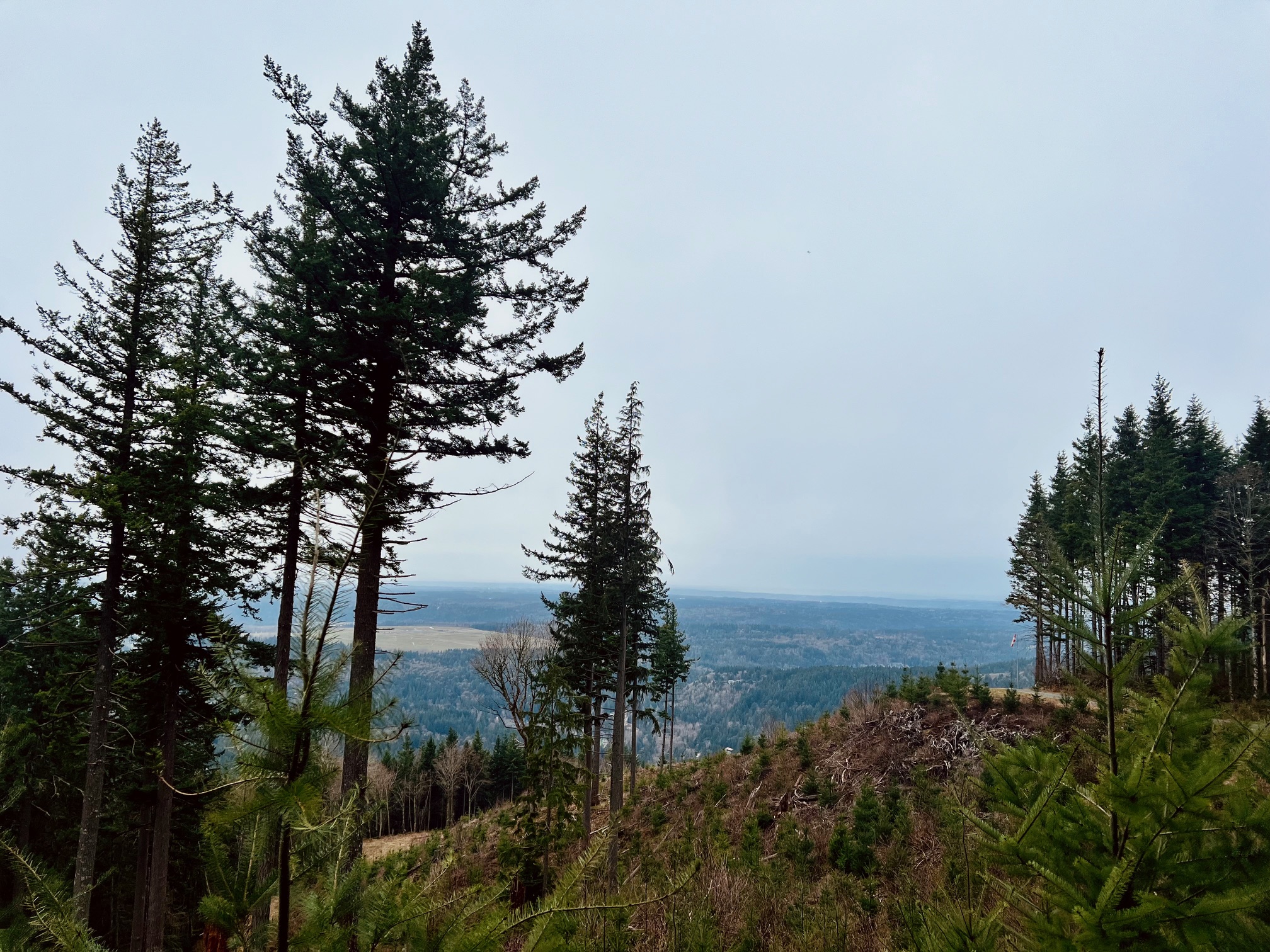 Poo Poo Point - Chirico Trail — Washington Trails Association