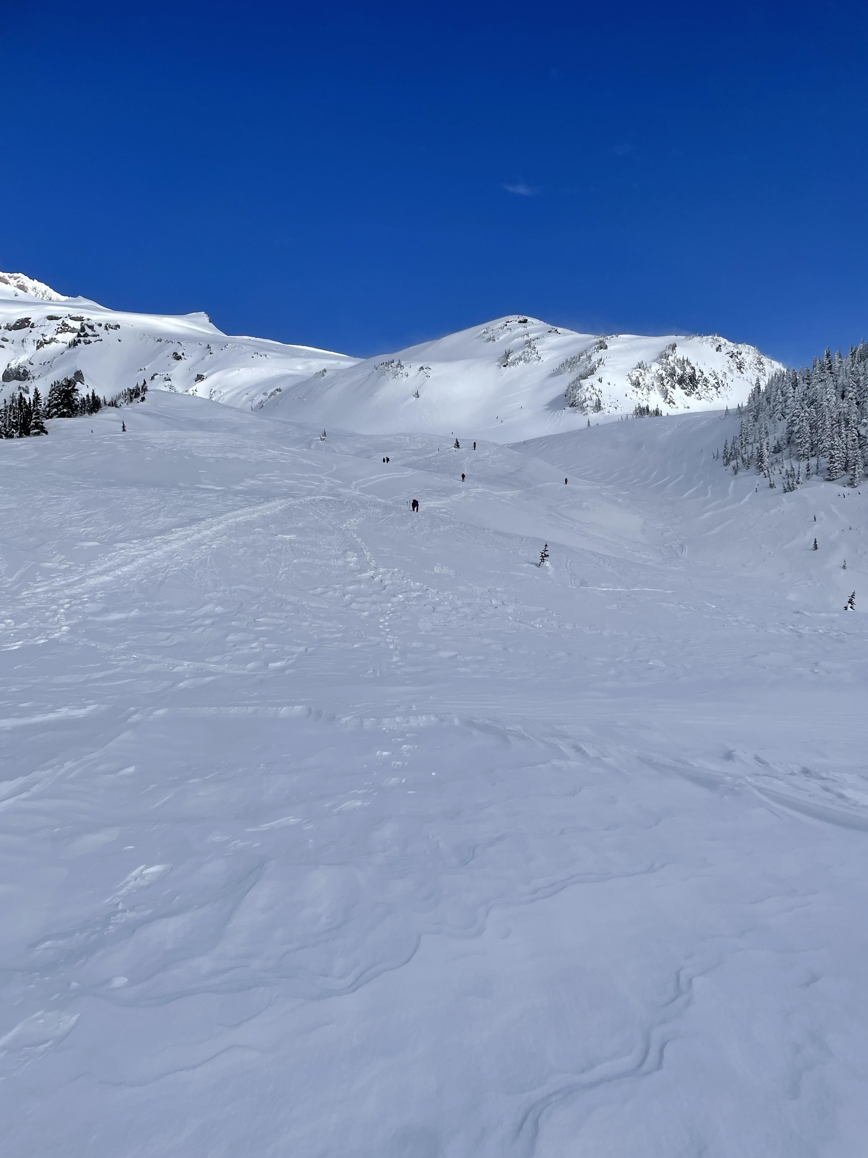 Panorama Point Snowshoe — Washington Trails Association