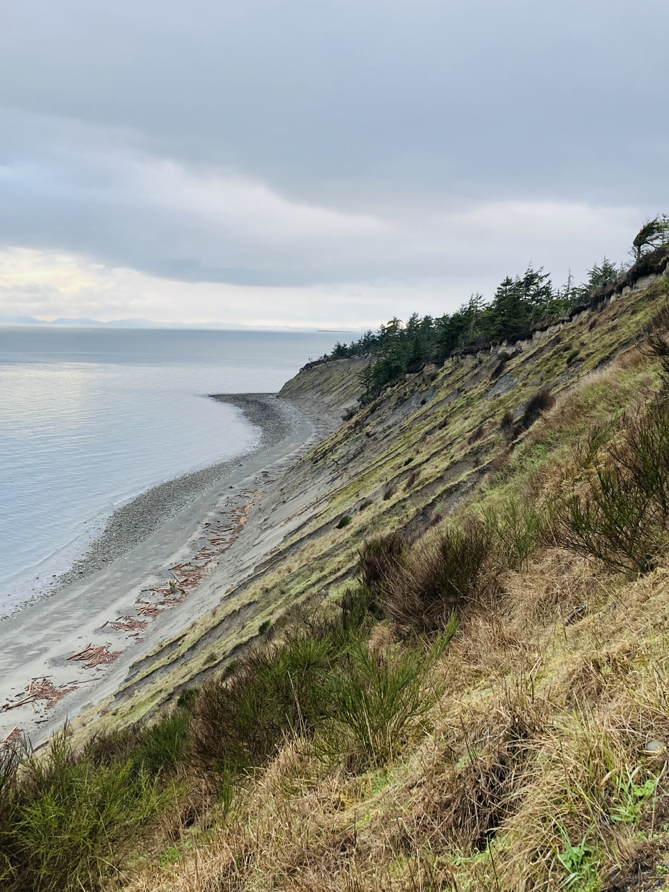 Fort Ebey State Park — Washington Trails Association