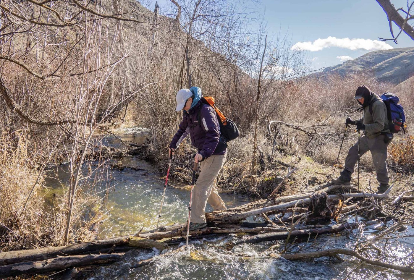 Umtanum Creek Canyon — Washington Trails Association