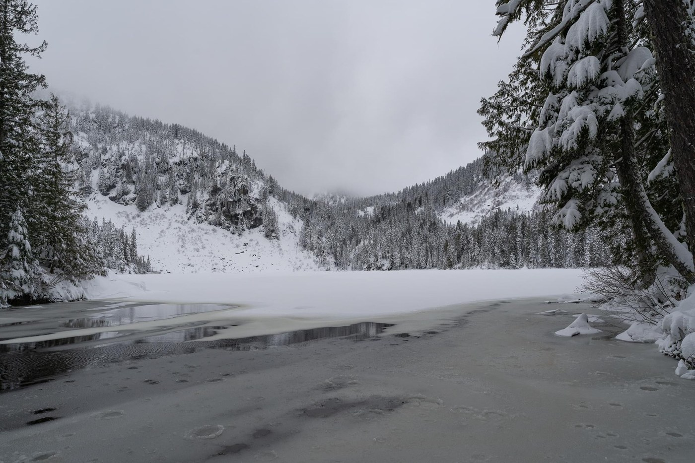 Boardman Lake Snowshoe — Washington Trails Association
