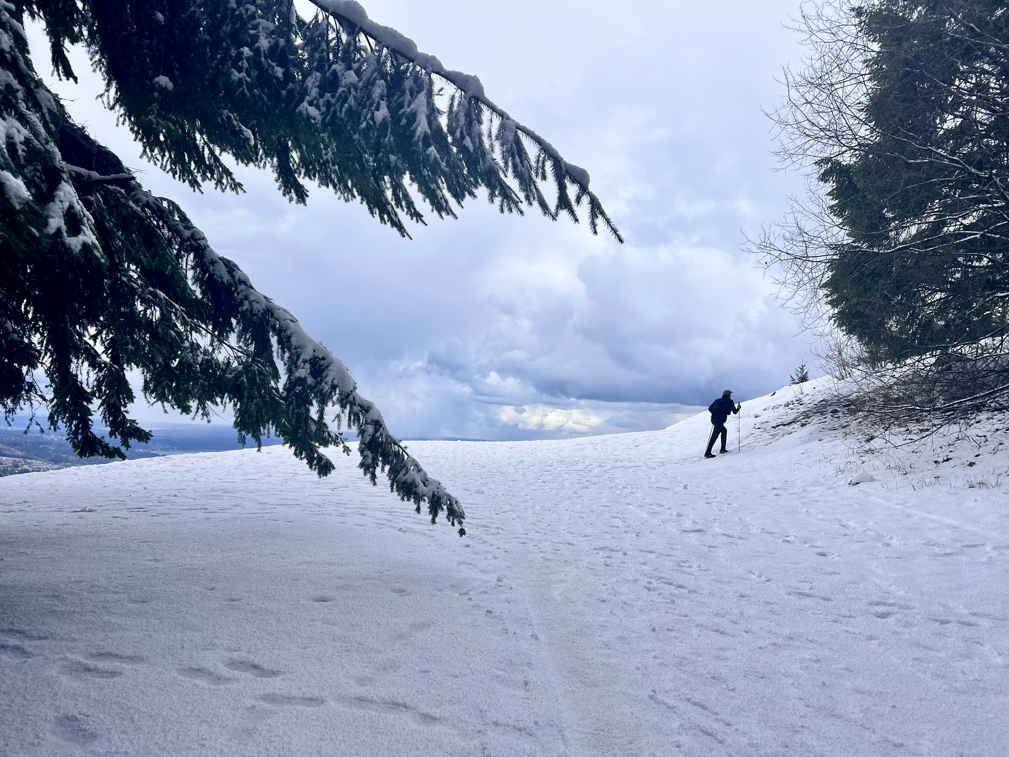 Poo Poo Point — Washington Trails Association