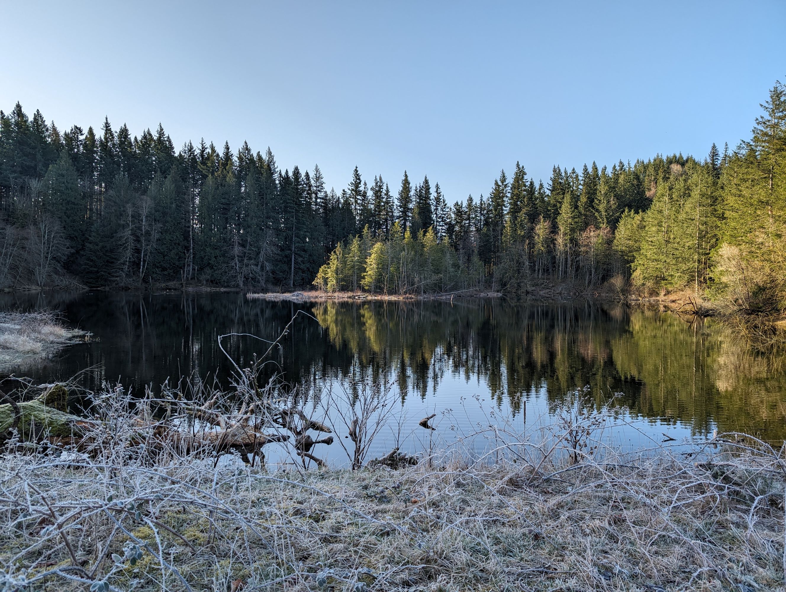 Little Lake Forest — Washington Trails Association