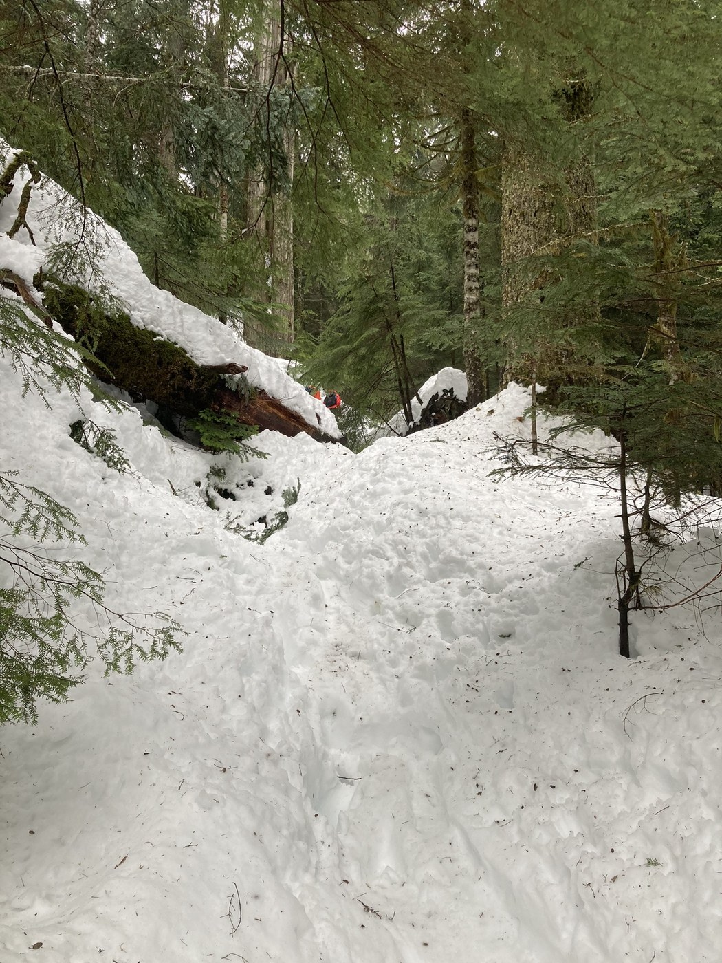 Heather Lake — Washington Trails Association
