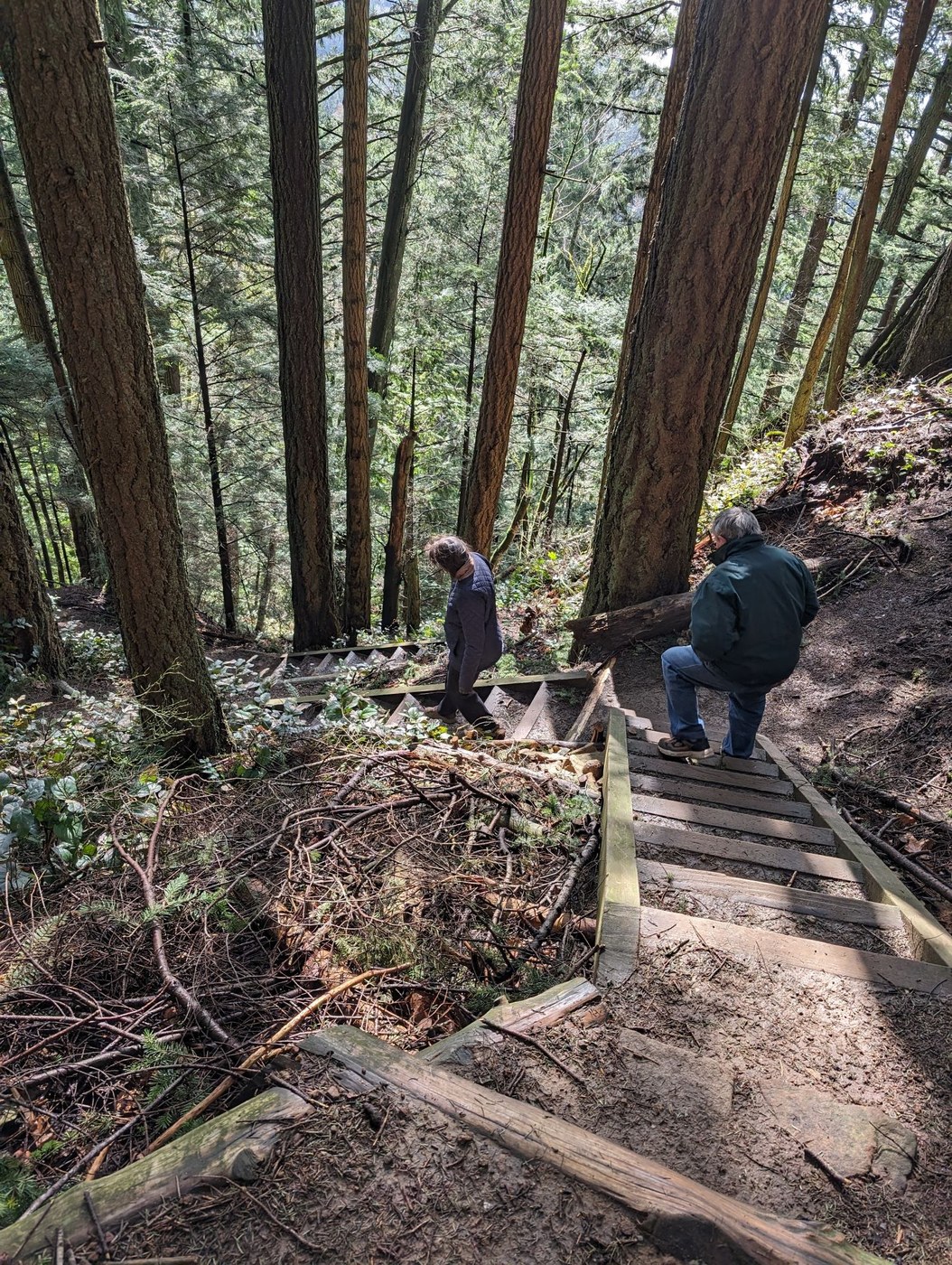 Larrabee State Park - Rock Trail — Washington Trails Association