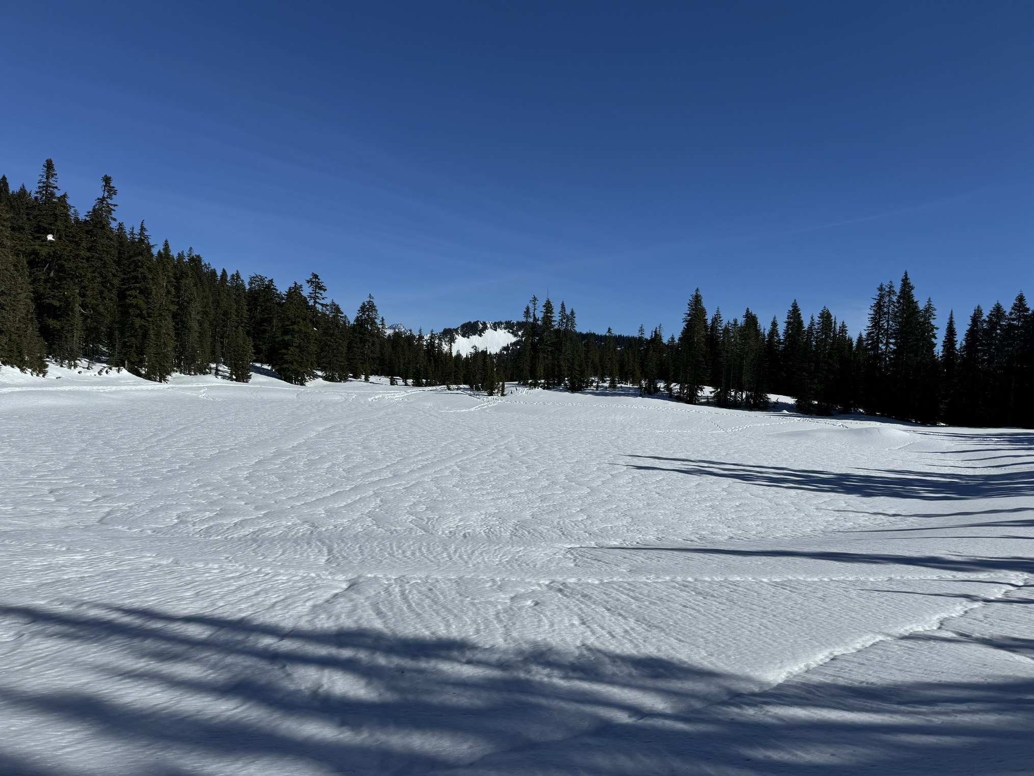 Skyline Lake Snowshoe — Washington Trails Association