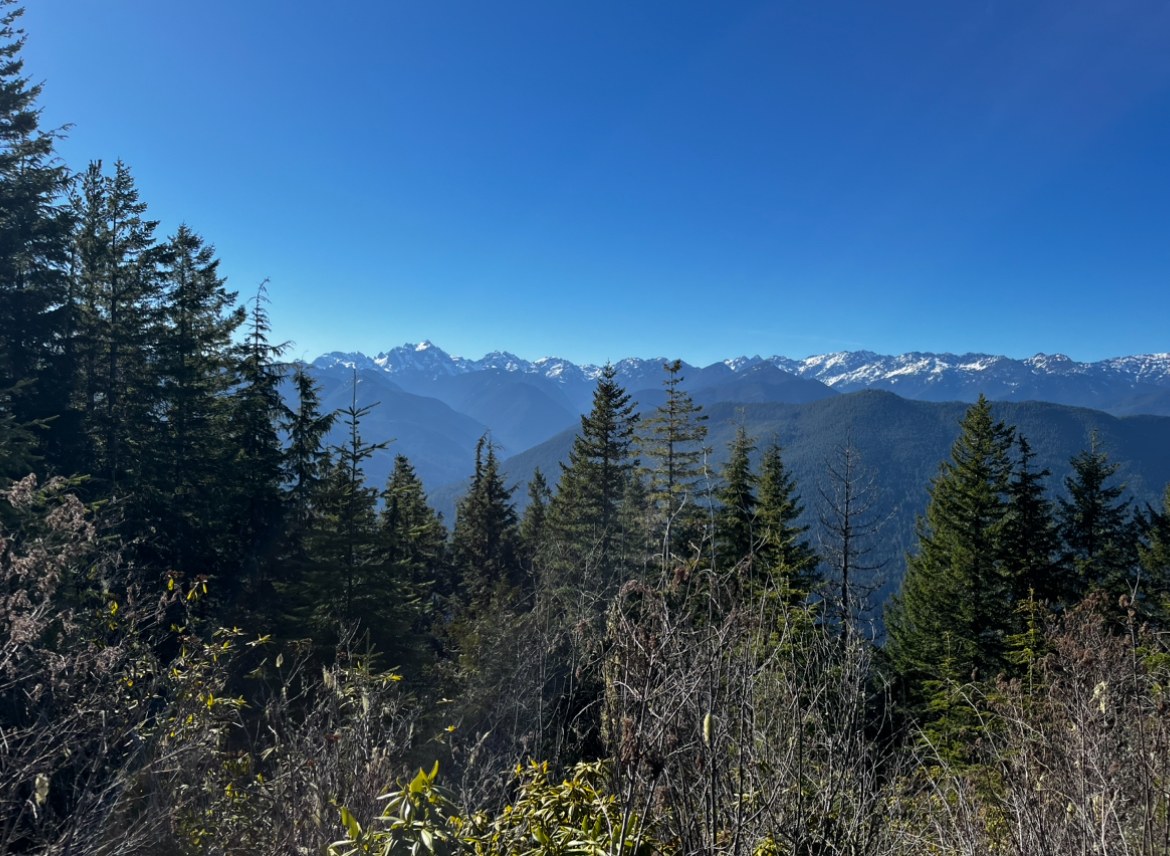 Mount Walker — Washington Trails Association