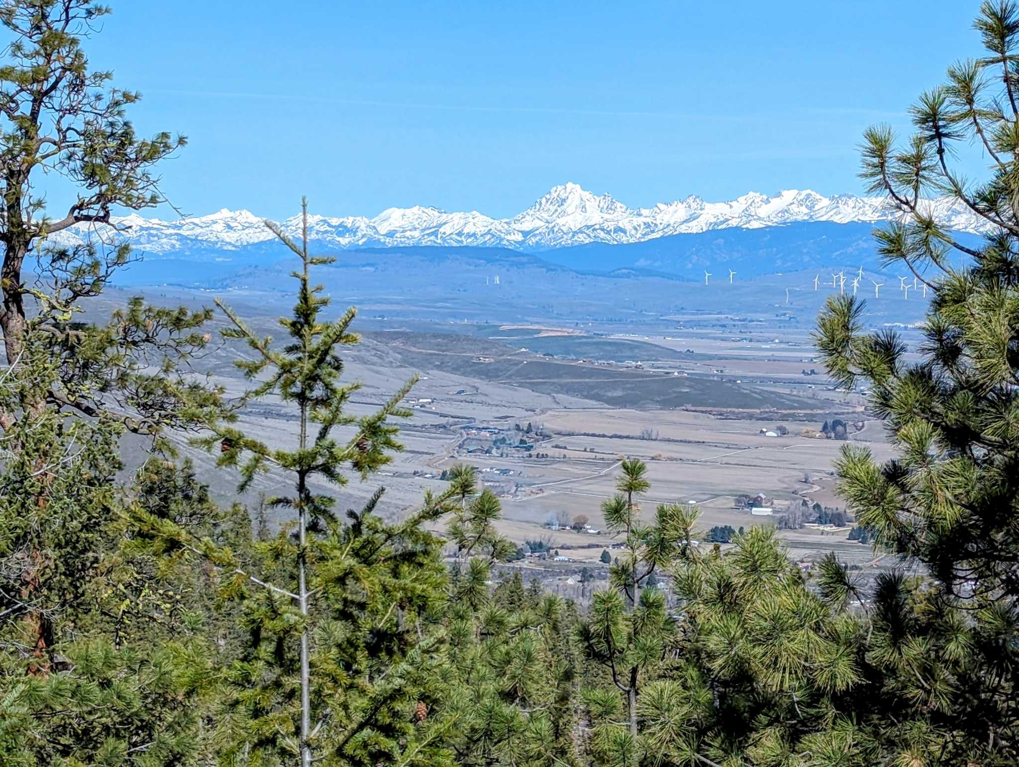 Manastash Ridge - Westberg Trail — Washington Trails Association