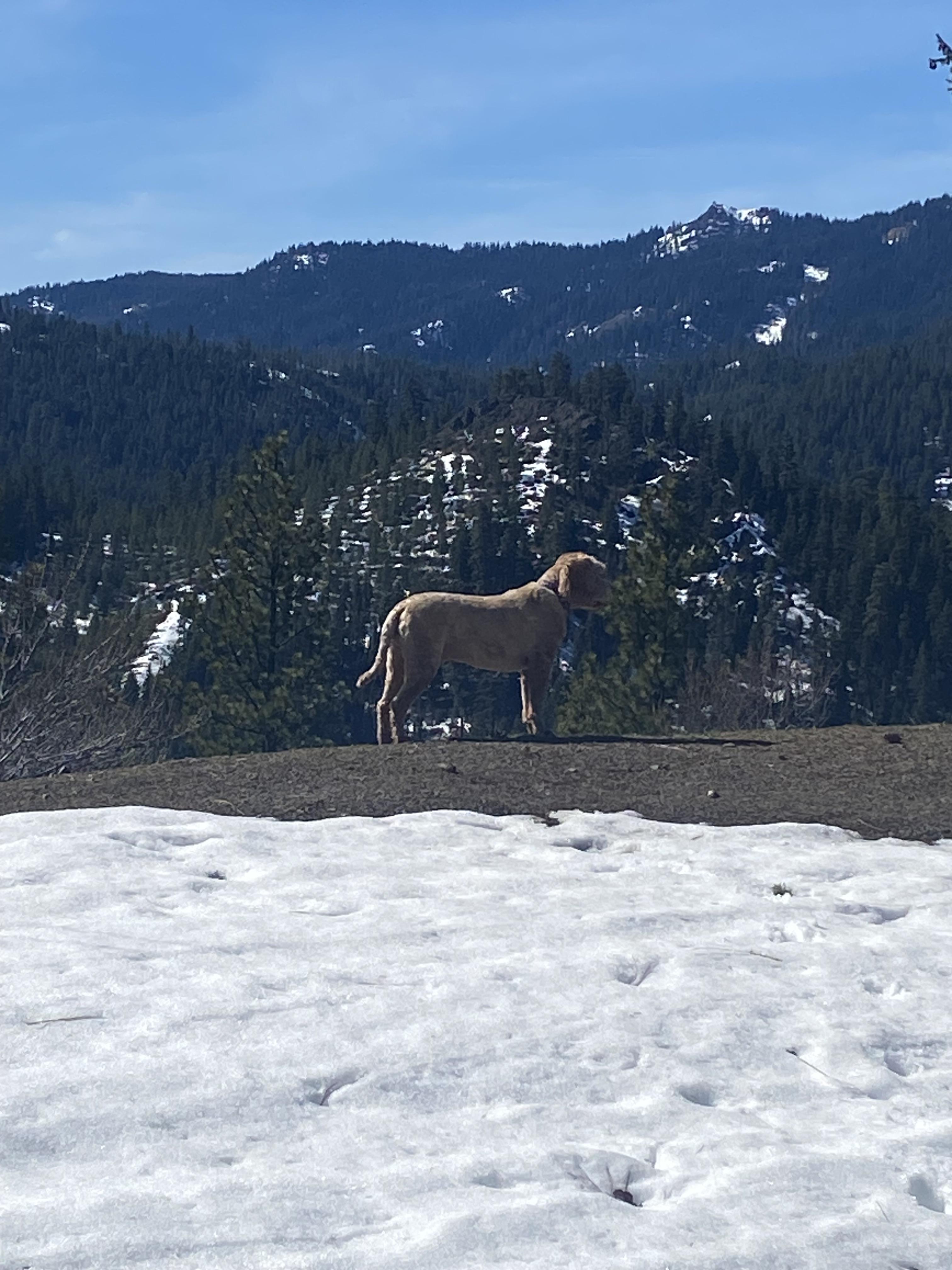 Old Blewett Pass Highway — Washington Trails Association