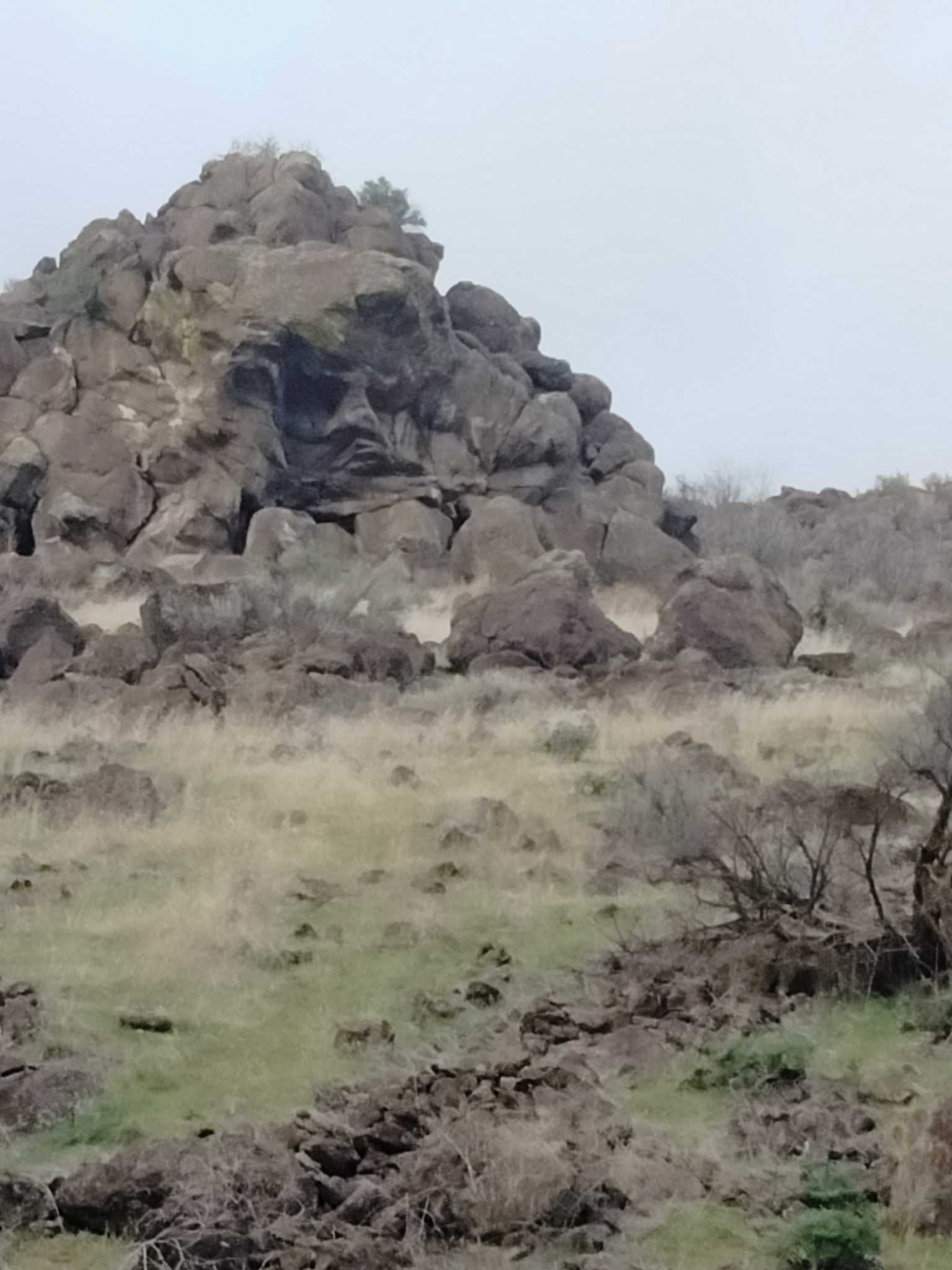 Cowiche Canyon Preserve — Washington Trails Association