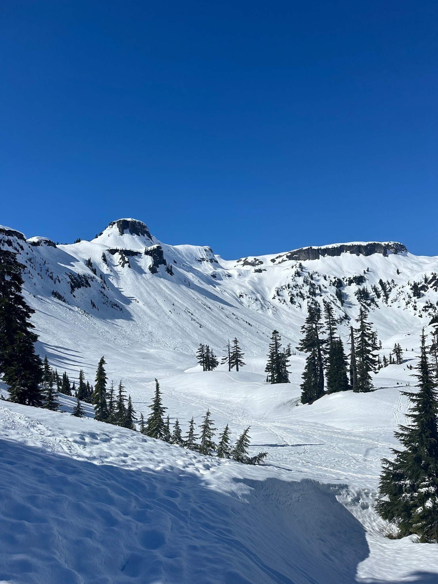 Artist Point Snowshoe — Washington Trails Association