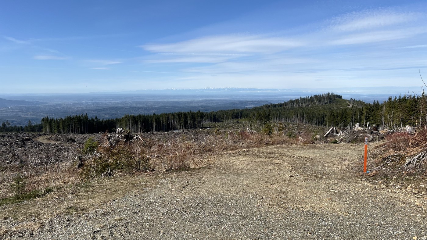 Blue Mountain, Sultan Basin — Washington Trails Association