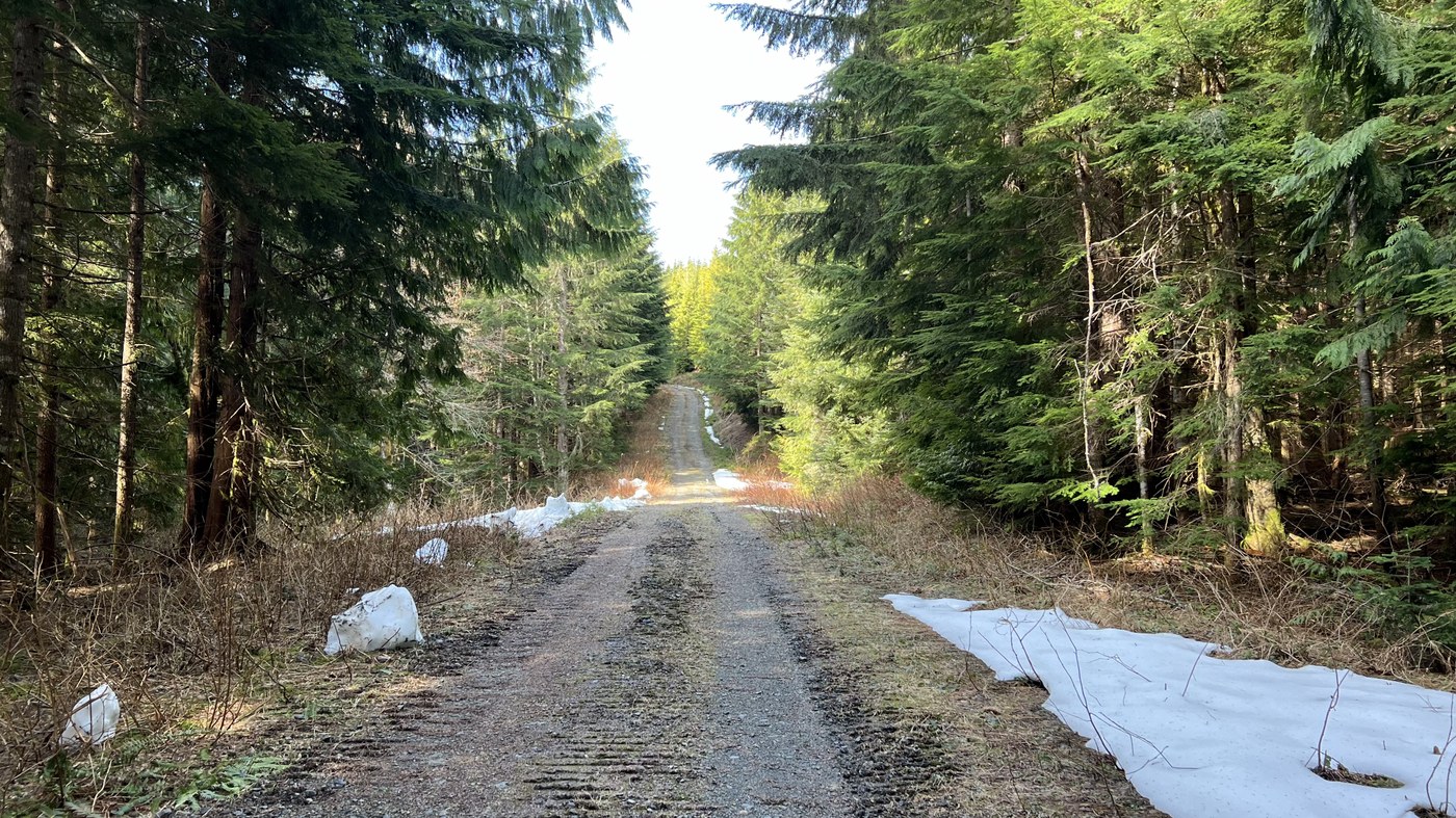 Blue Mountain, Sultan Basin — Washington Trails Association