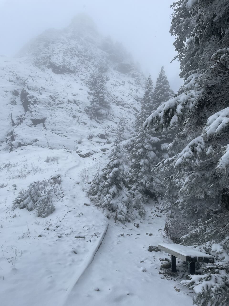 Mount Si, Mount Si - Old Trail, Mount Teneriffe, Talus Loop ...