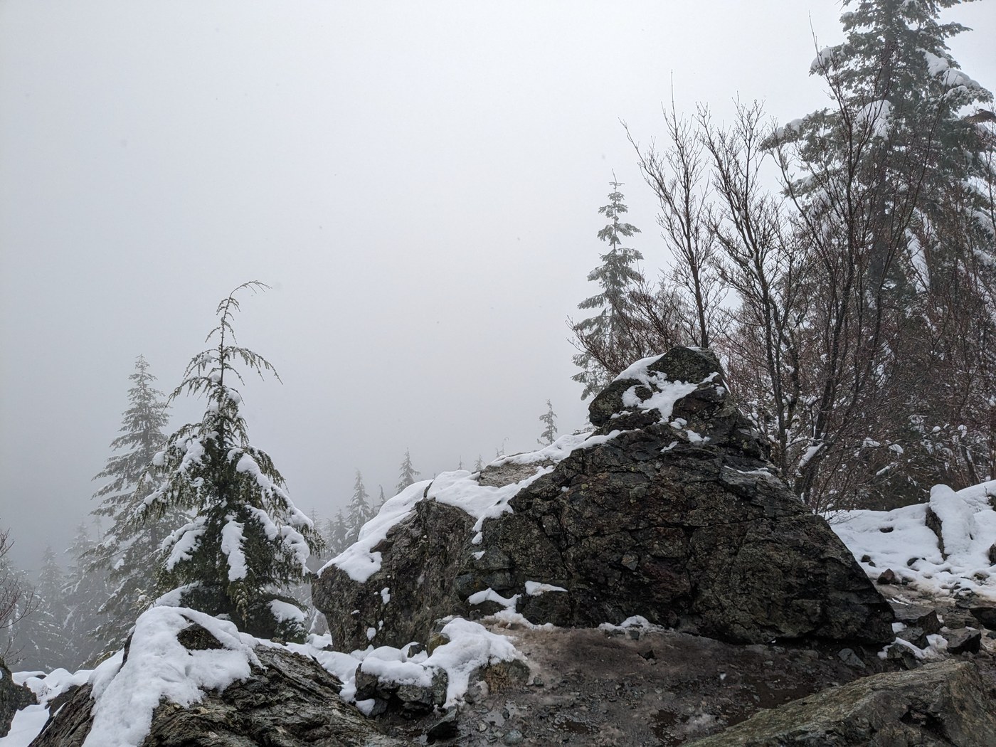 Mount Si — Washington Trails Association