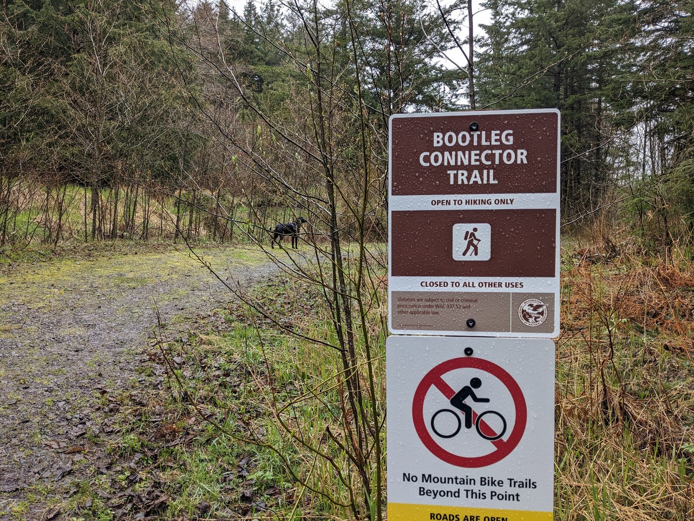 Bus Trail, Poo Poo Point, One-View Trail, Tiger Mountain Trail, Paw ...