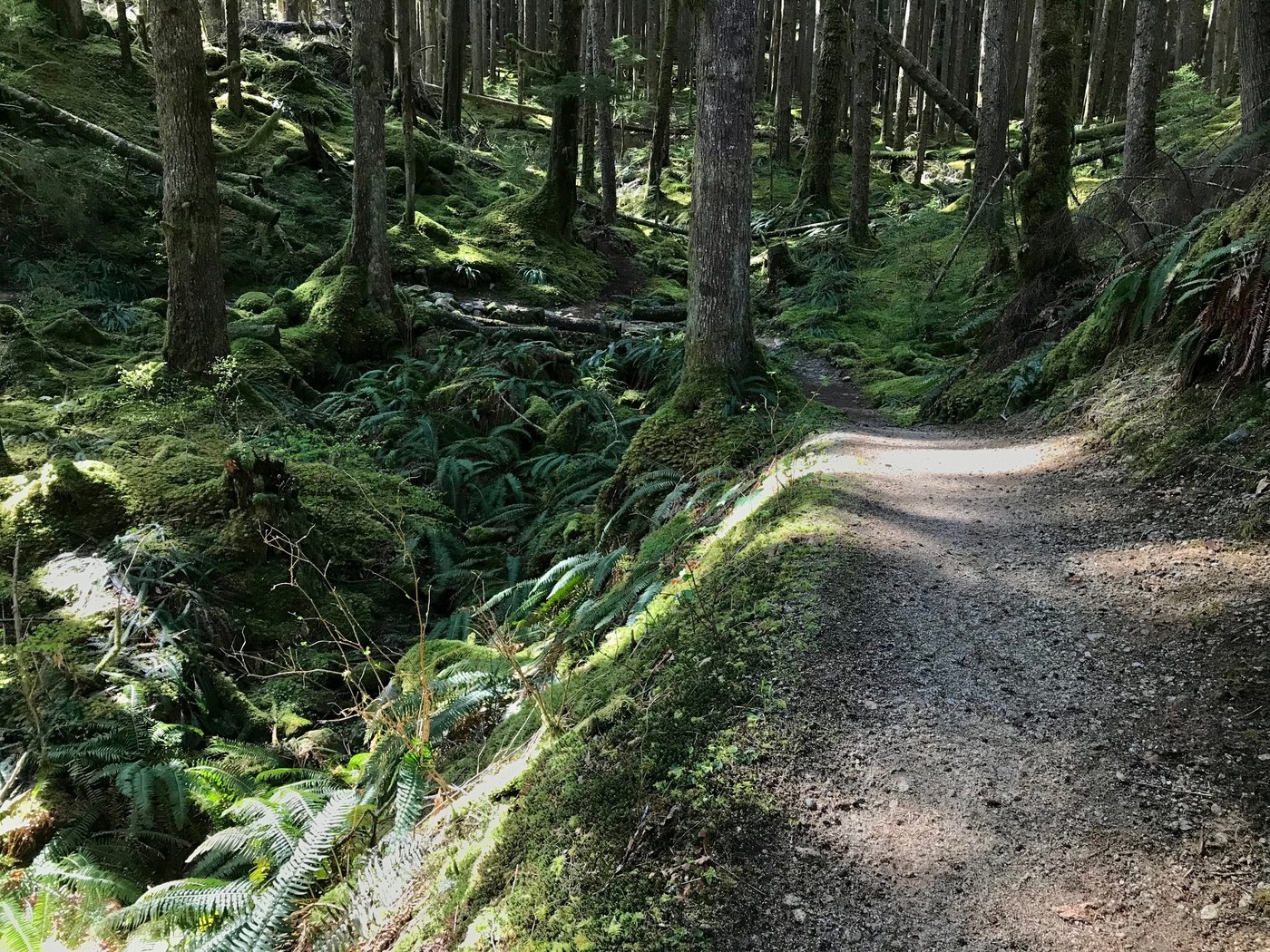 Middle Fork Snoqualmie River — Washington Trails Association