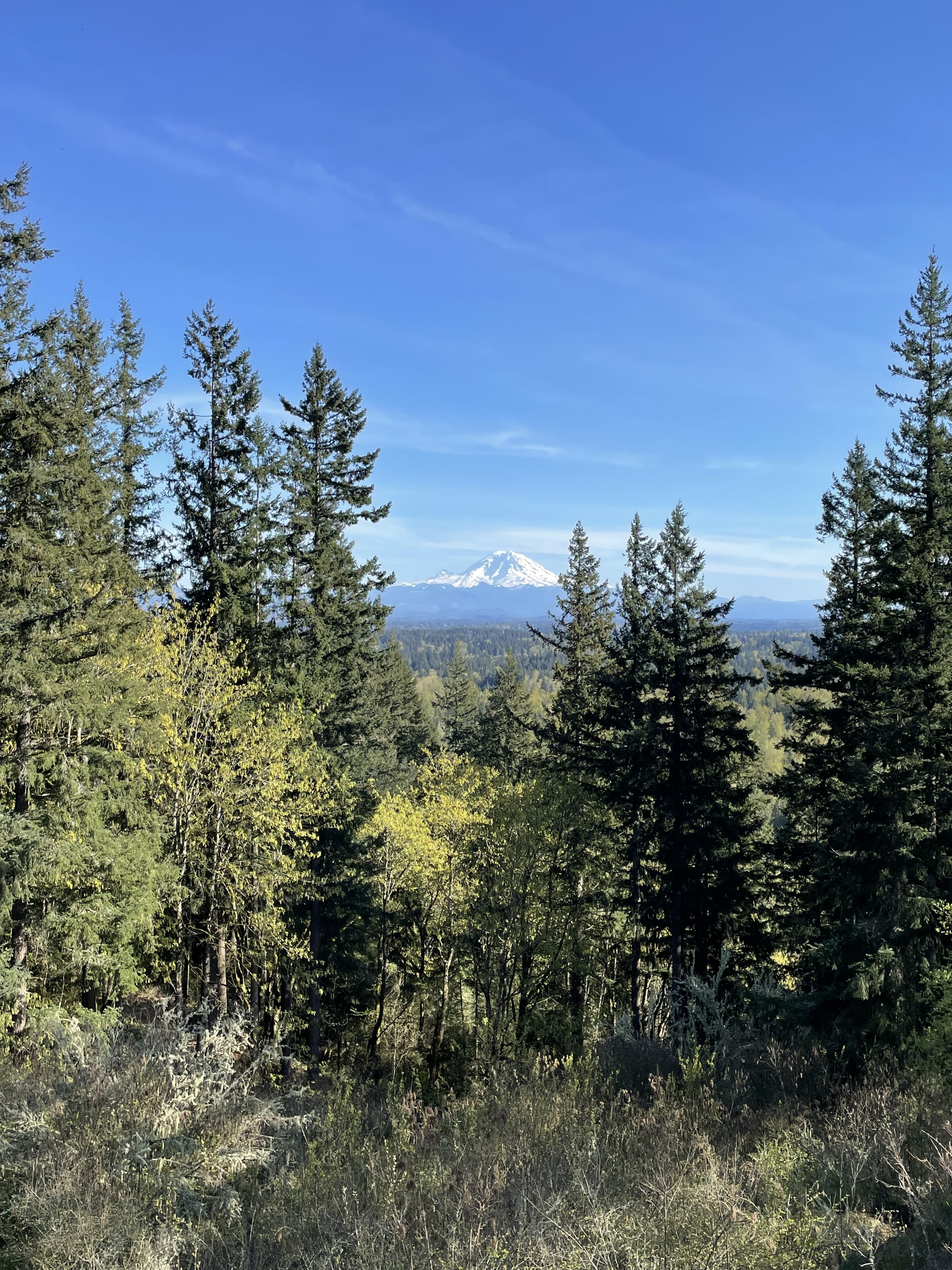 Spring Lake/Lake Desire Park - Echo Mountain — Washington Trails ...