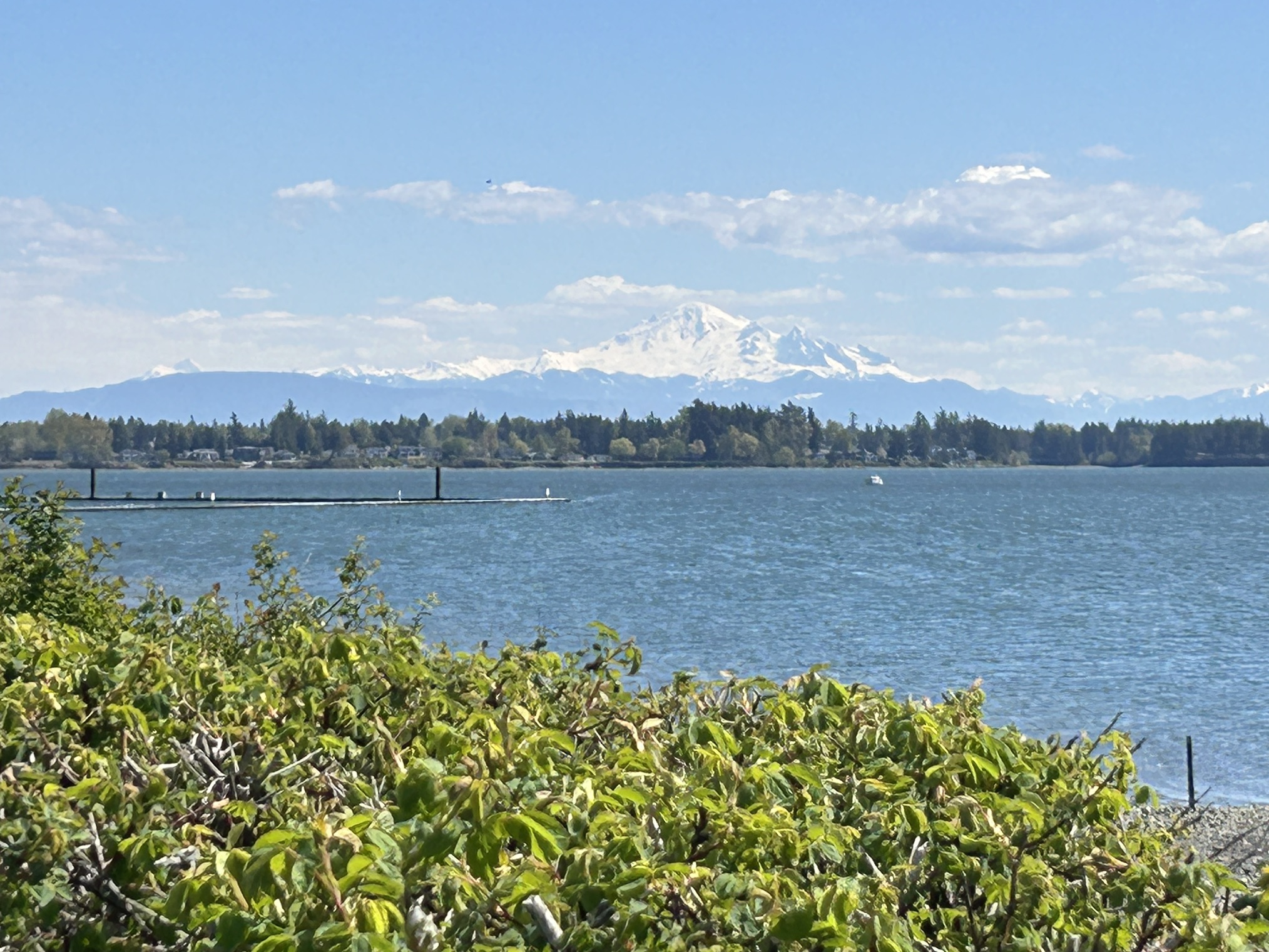 Semiahmoo Spit — Washington Trails Association