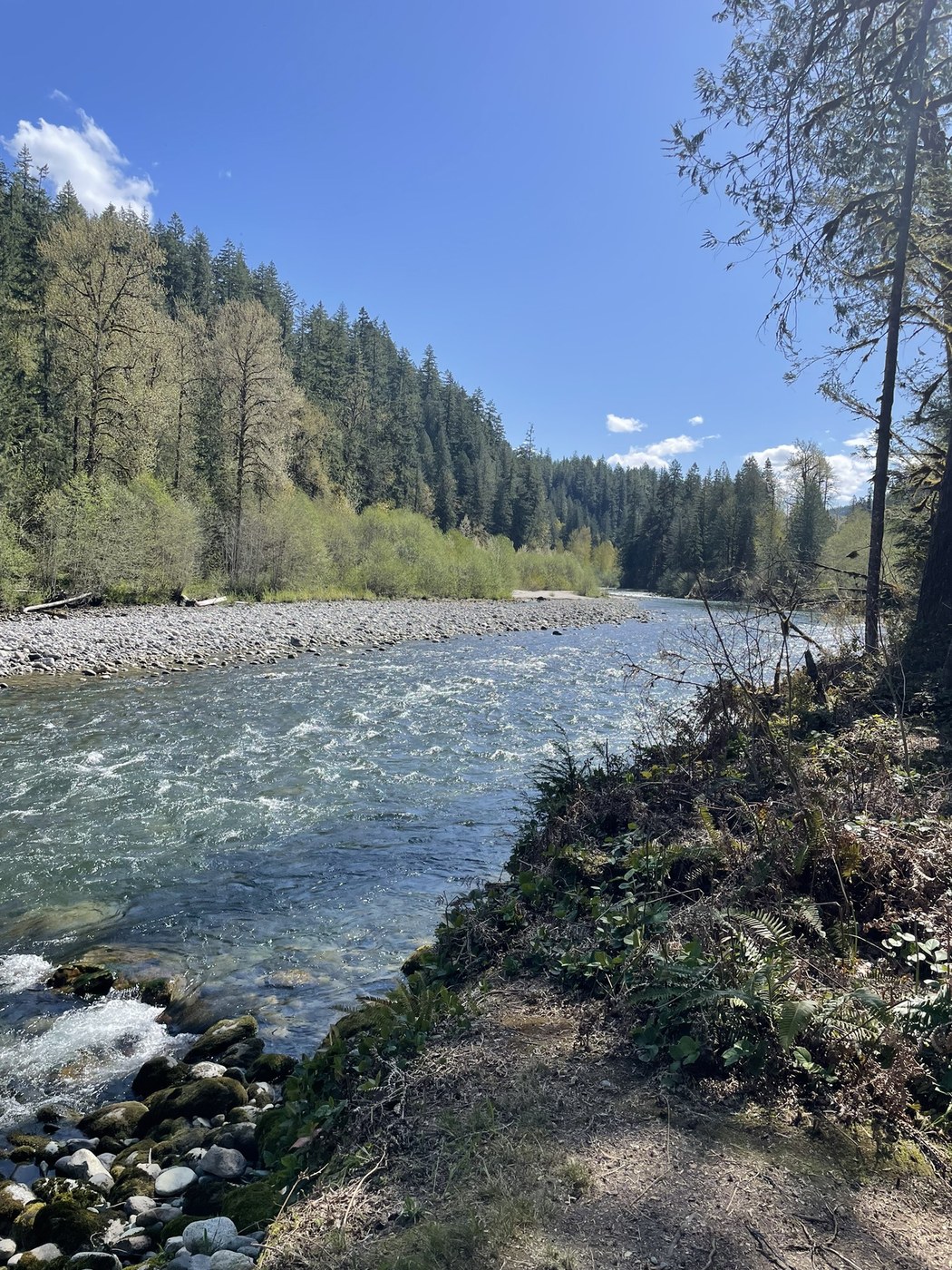 Old Sauk River Trail — Washington Trails Association