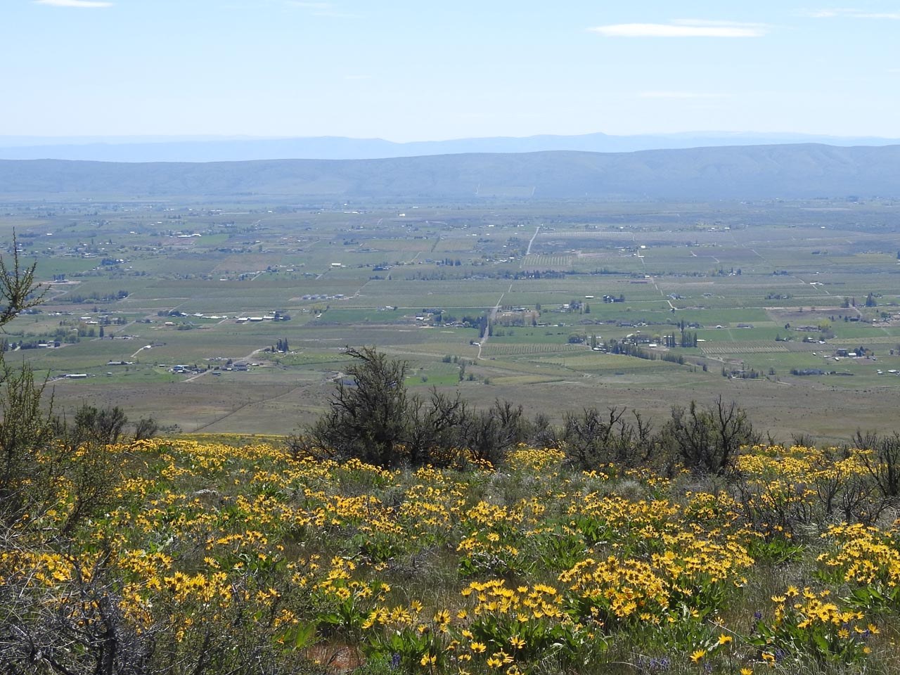 Cowiche Canyon Preserve, Snow Mountain Ranch and Cowiche Mountain ...