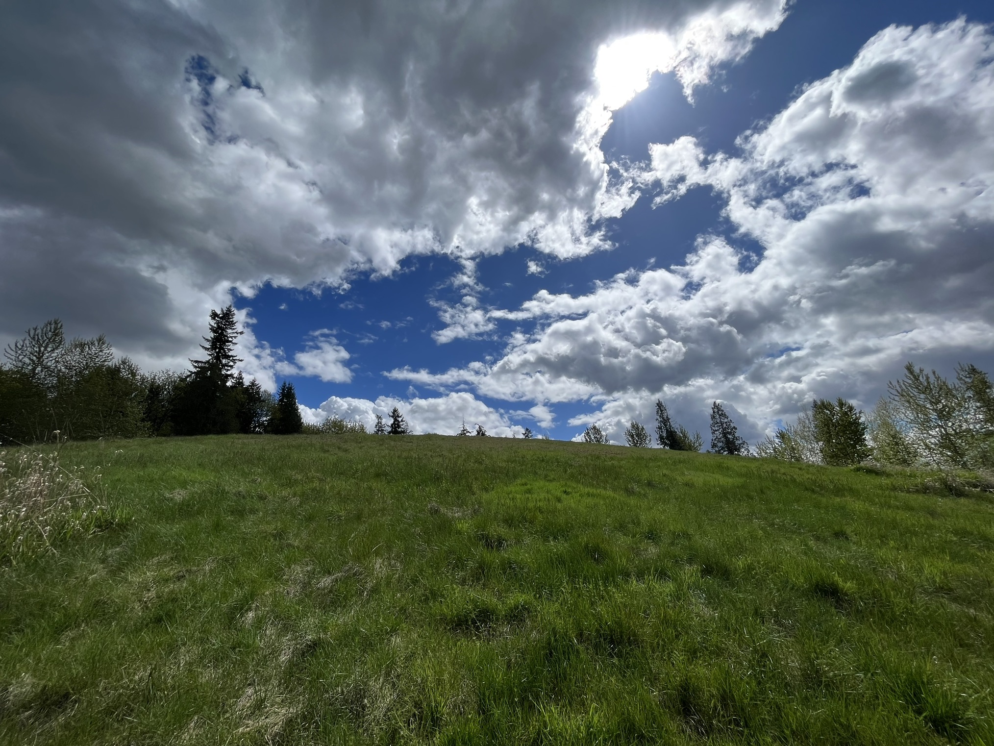 Brightwater Center — Washington Trails Association